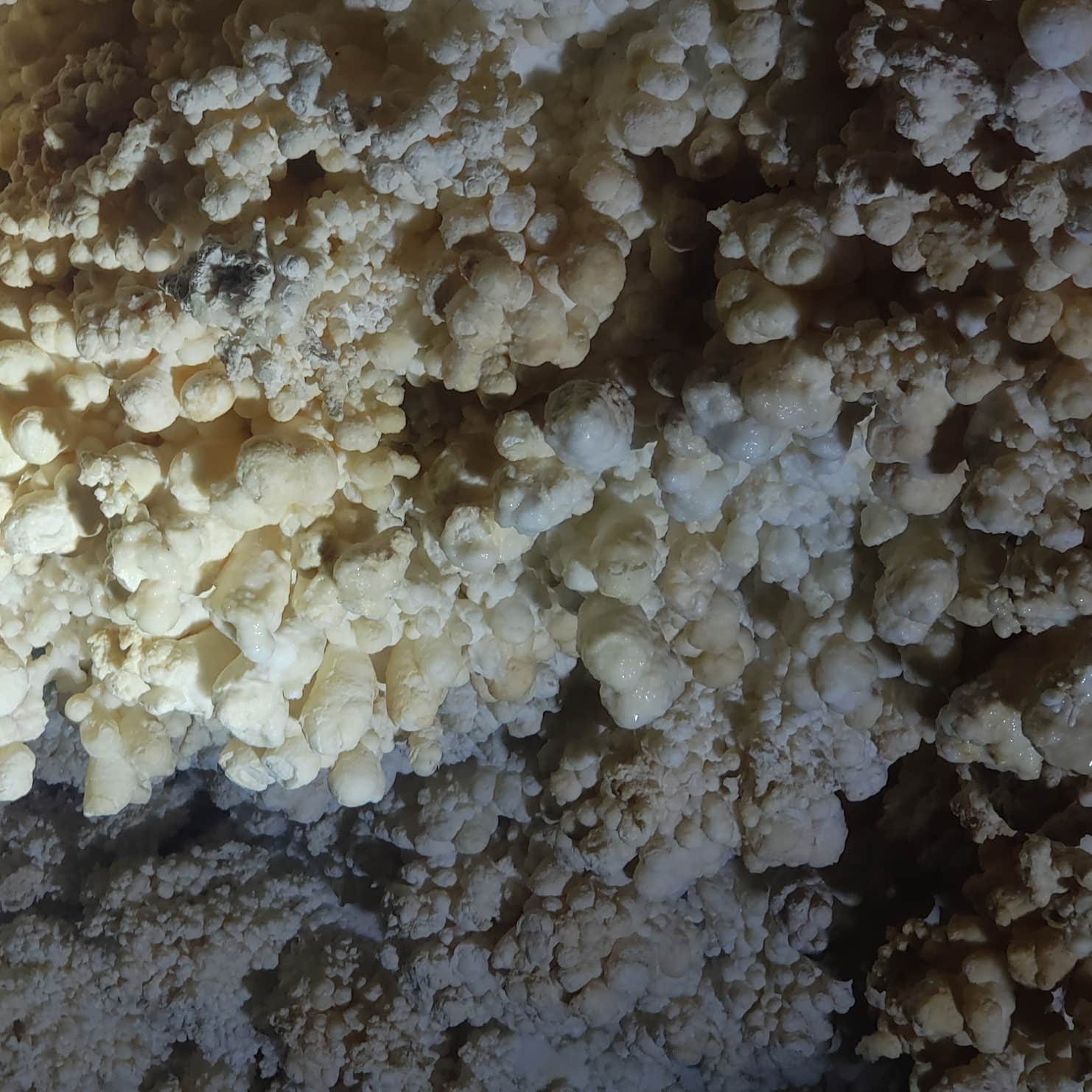 Bates Family Ranch Camping | Baker, Nevada