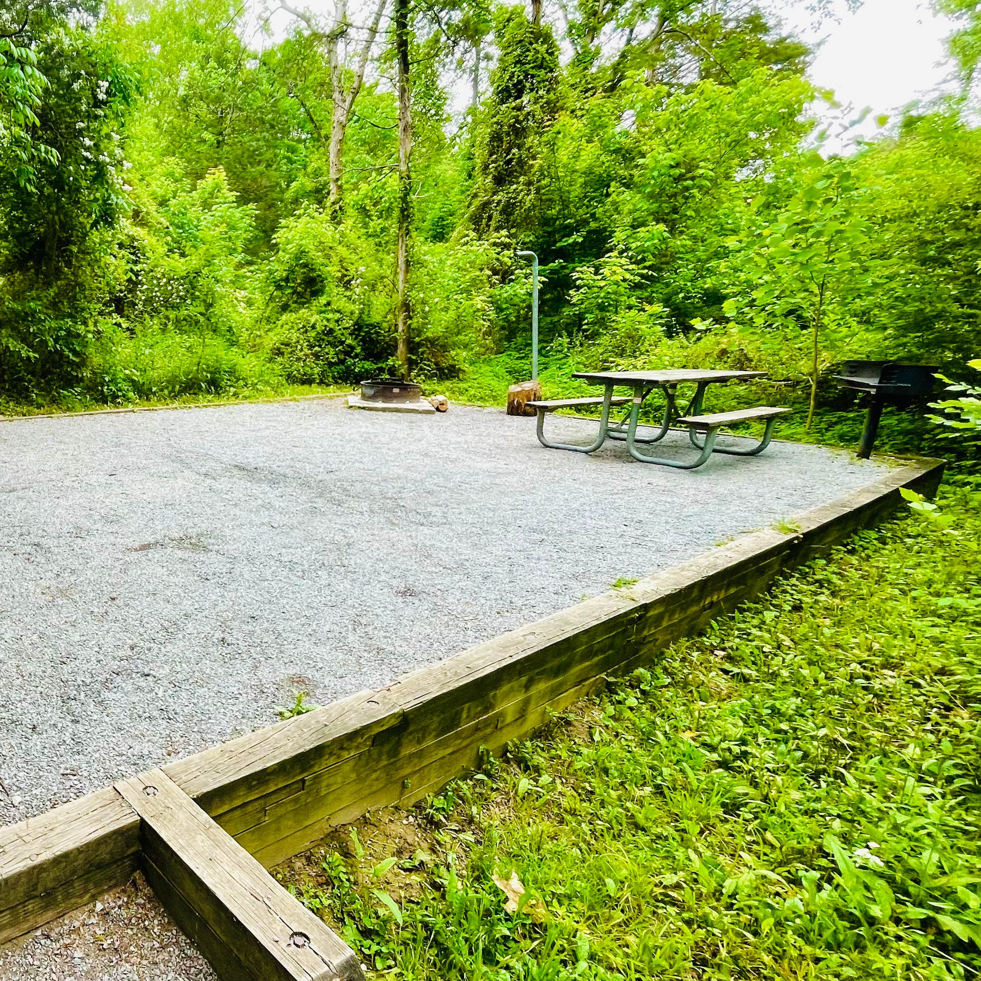 Andy Guest/Shenandoah River State Park Campground | Bentonville, VA