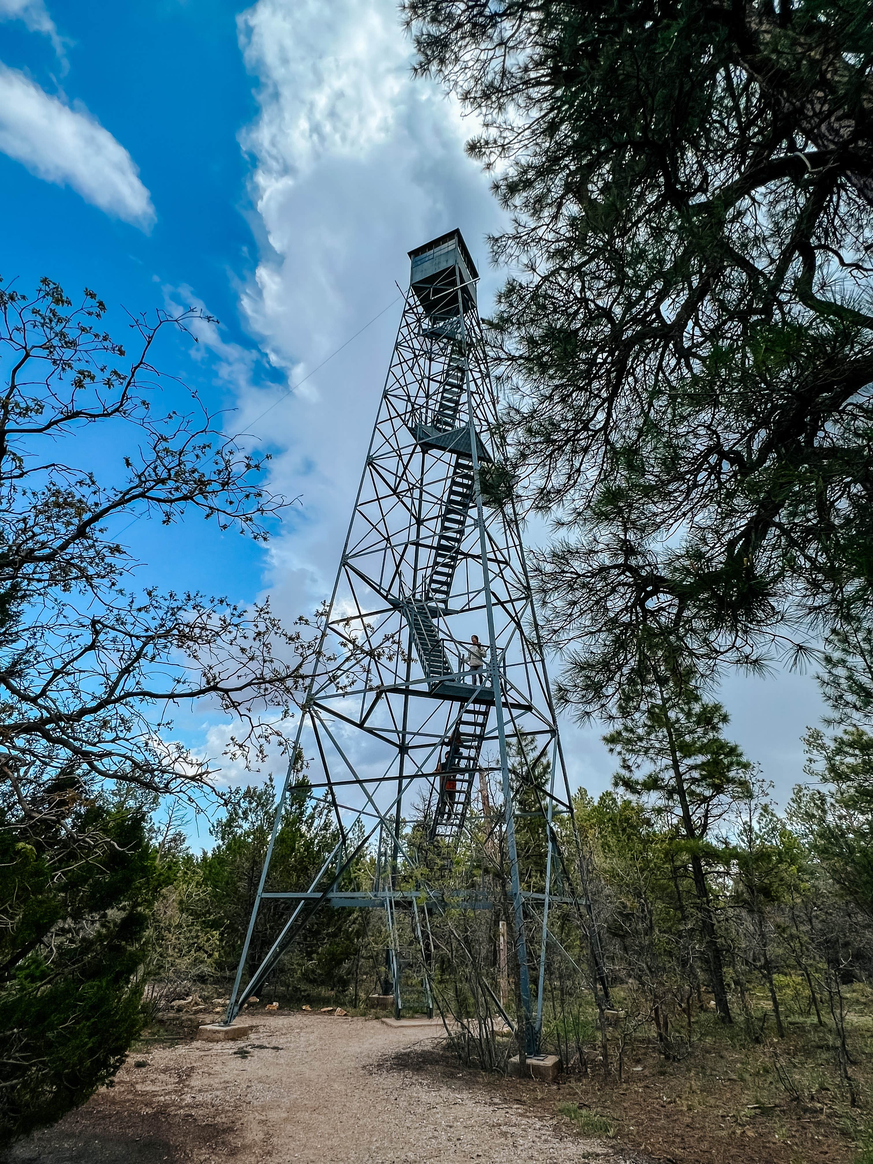 Coconino Rim Road Dispersed Camping | Grand Canyon, AZ