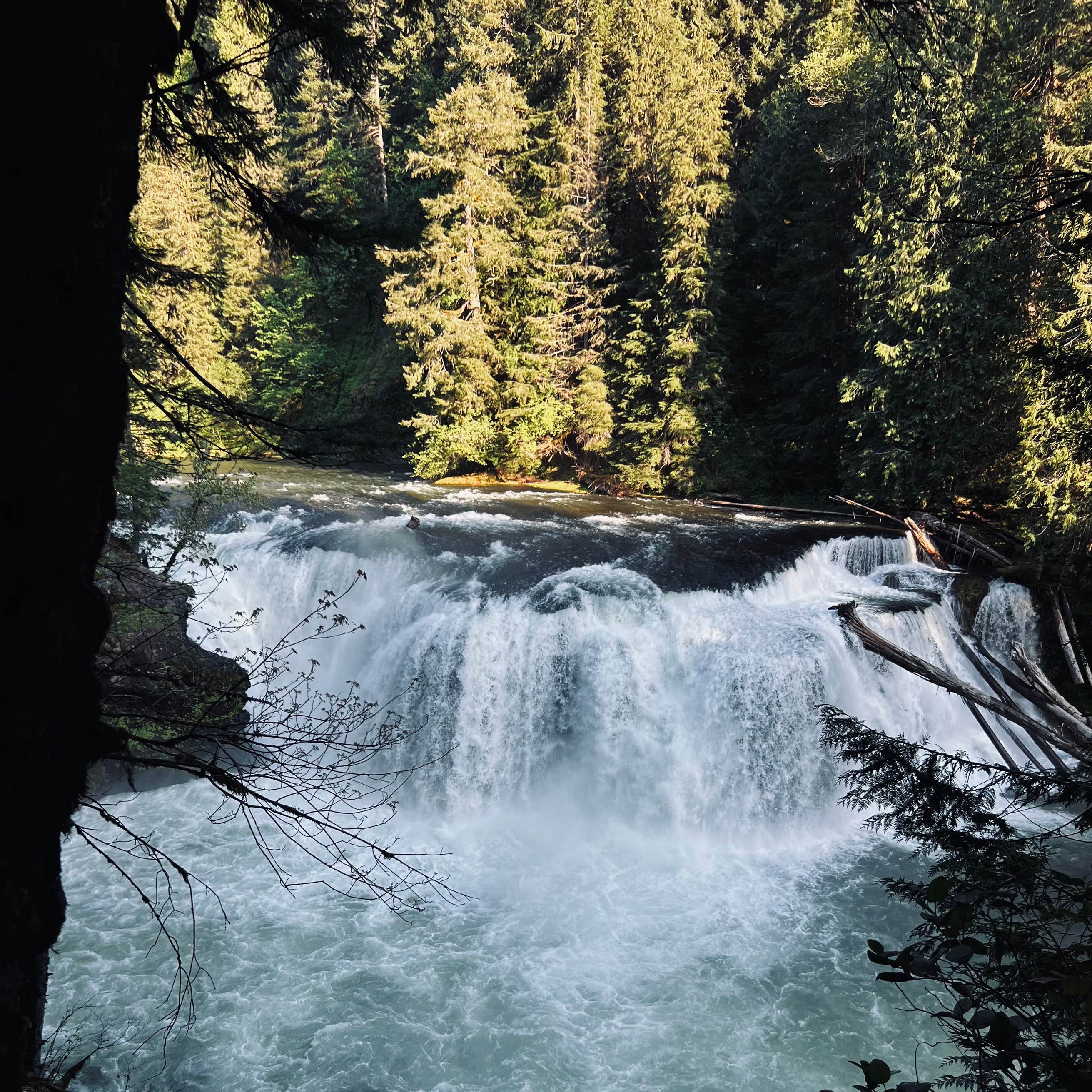 Lower Falls Campground | Trout Lake, Washington