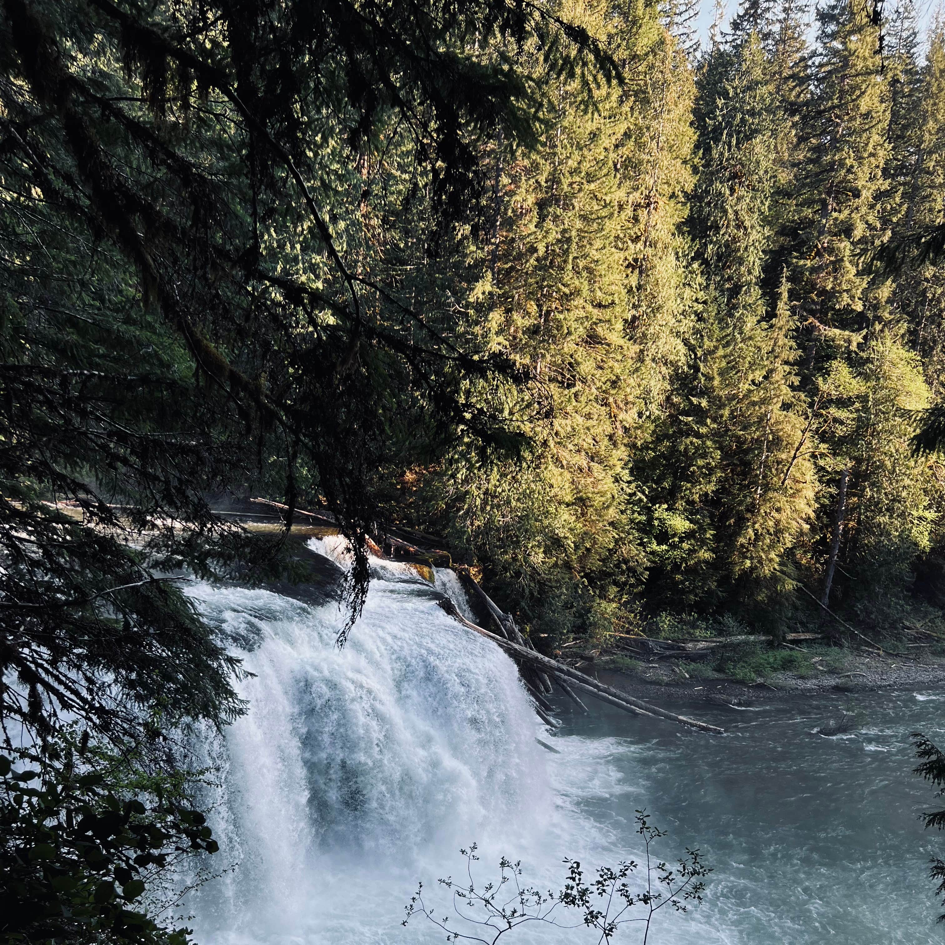 Lower Falls Campground | Trout Lake, Washington