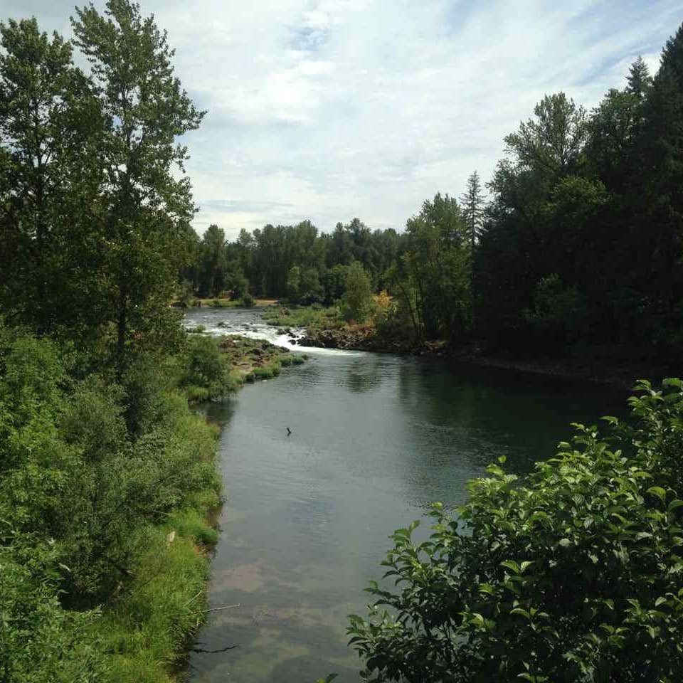 Waterloo County Park Camping | The Dyrt