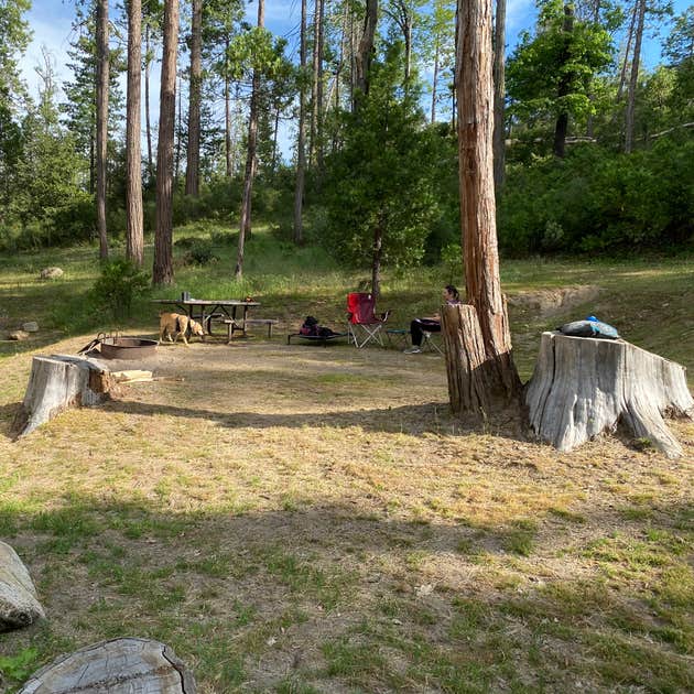 Spring Cove Campground | Wishon, California