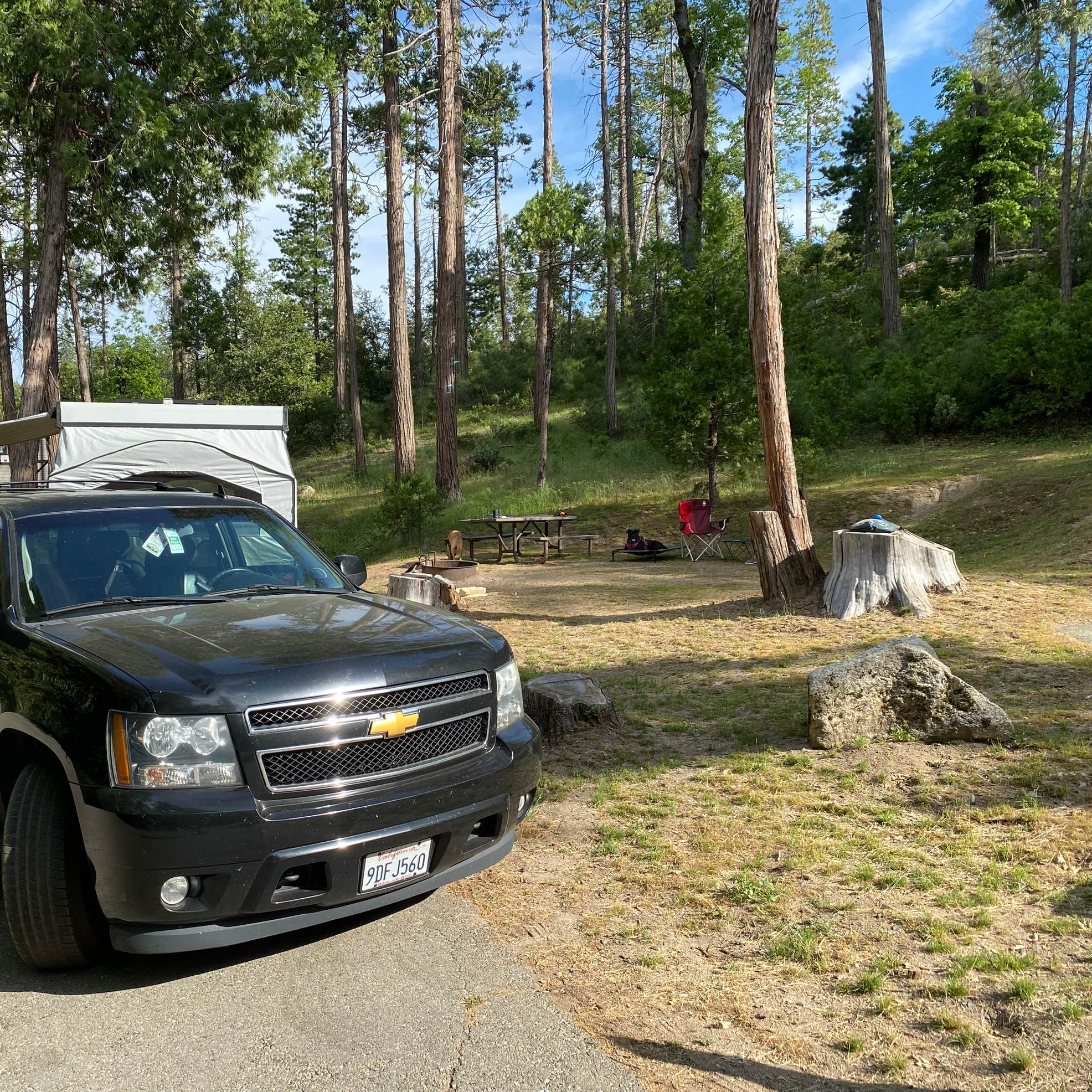 Spring Cove Campground | Wishon, California