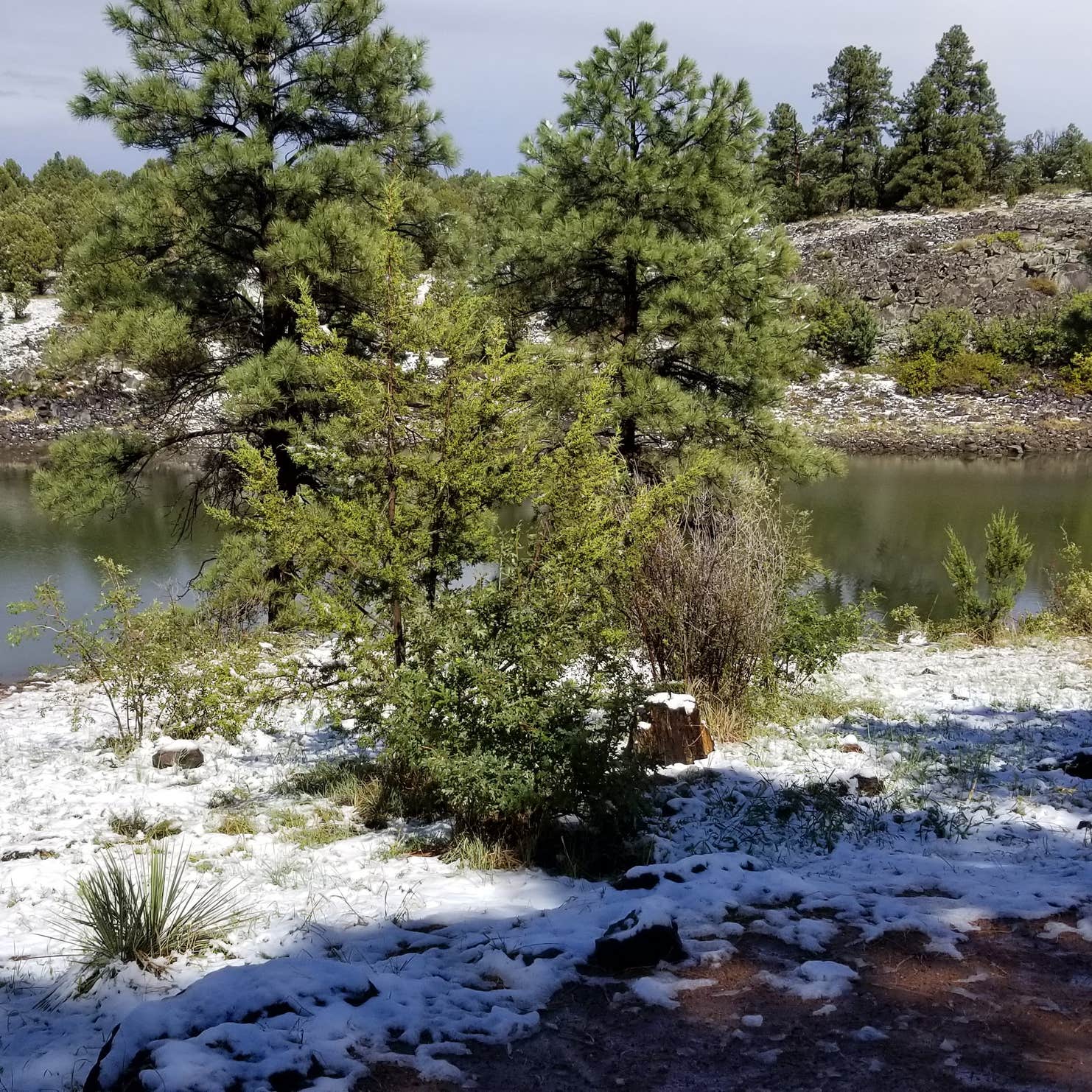 Fool Hollow Lake Recreation Area Campground Camping | The Dyrt