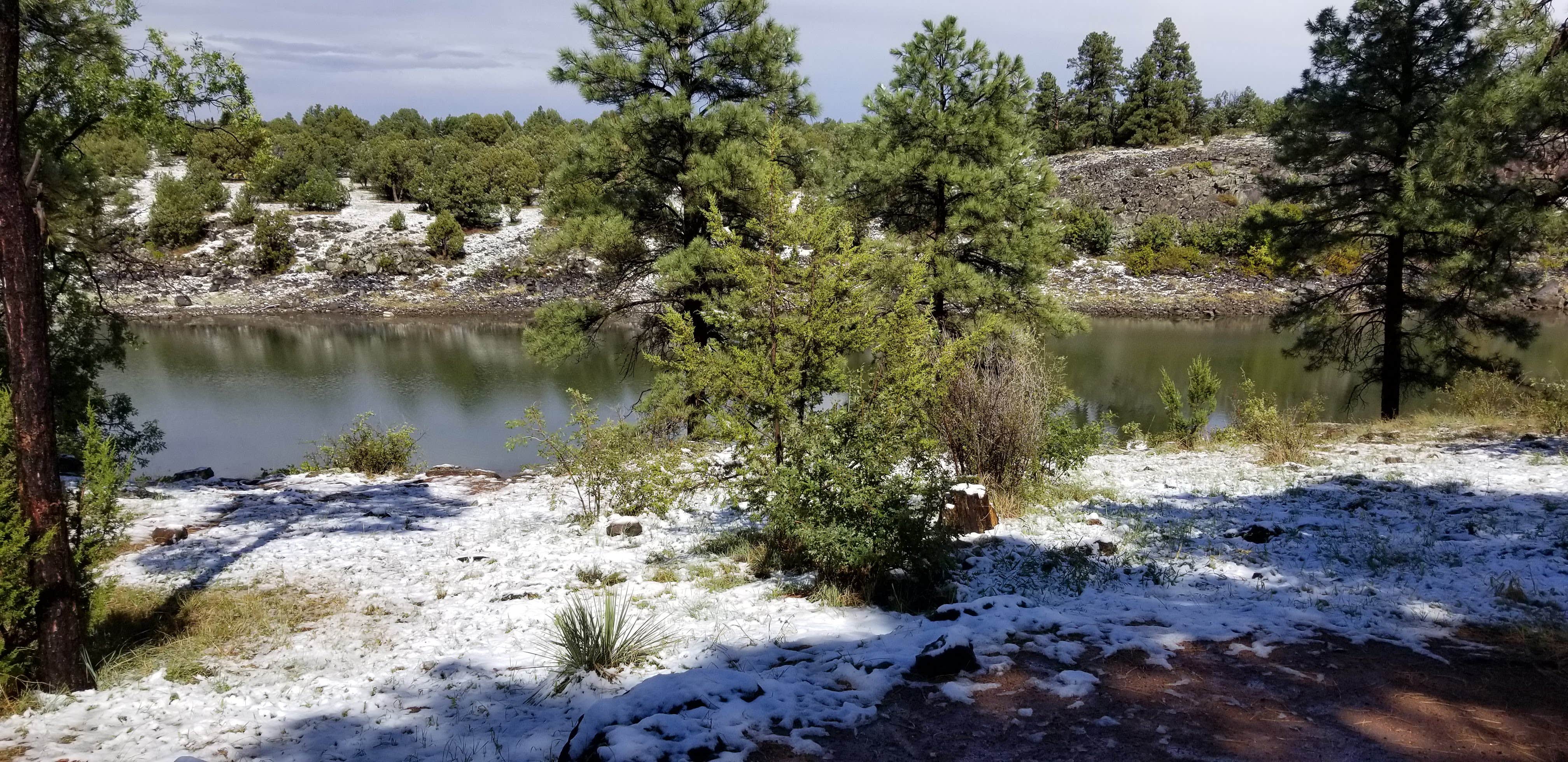 Fool Hollow Lake Recreation Area Campground Camping | The Dyrt