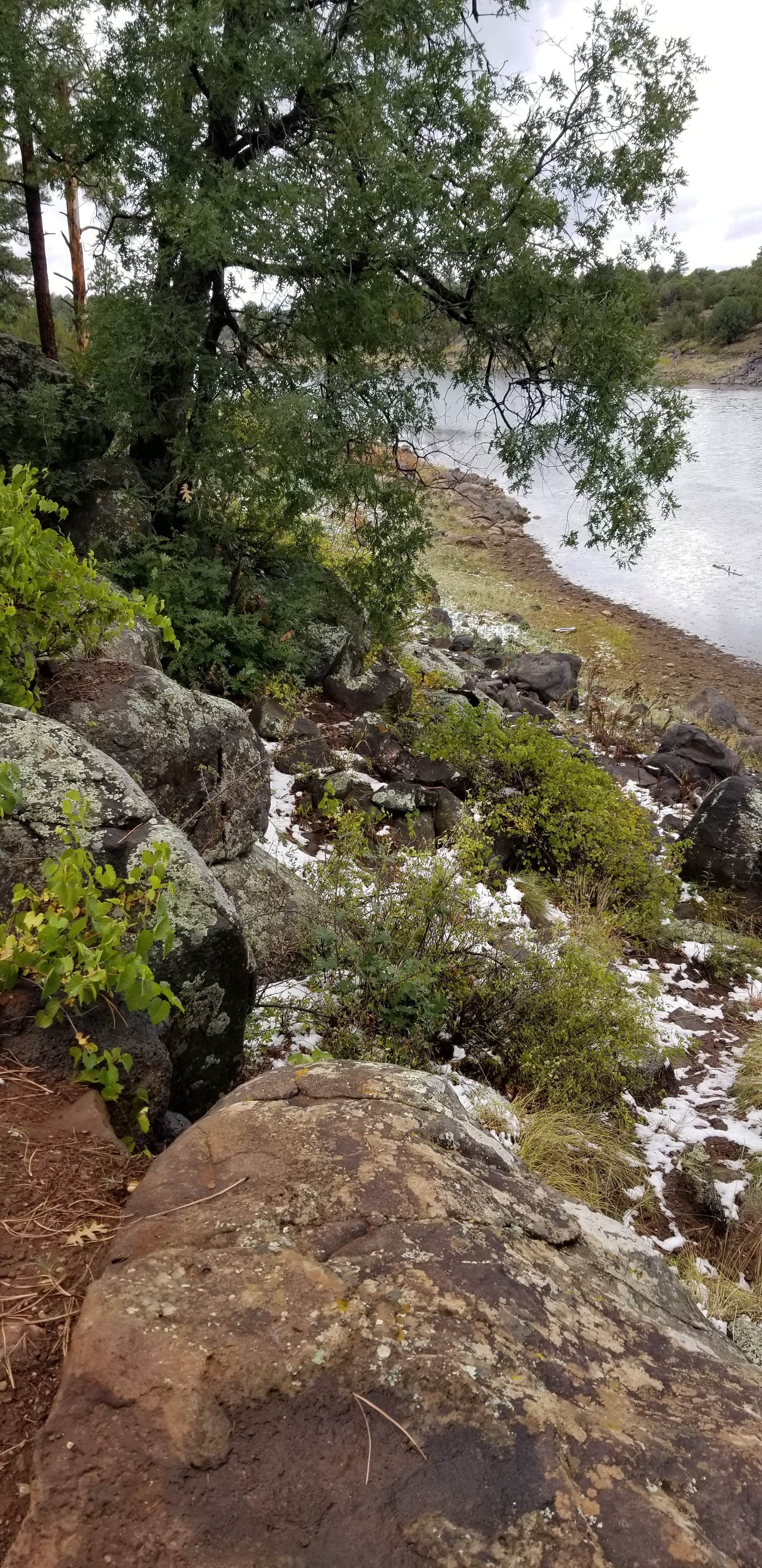 Fool Hollow Lake Recreation Area Campground | Show Low, Arizona