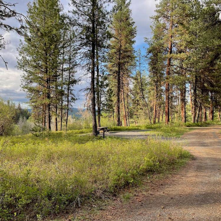 Lower Camp Creek Forest Camp | Prairie City, Oregon