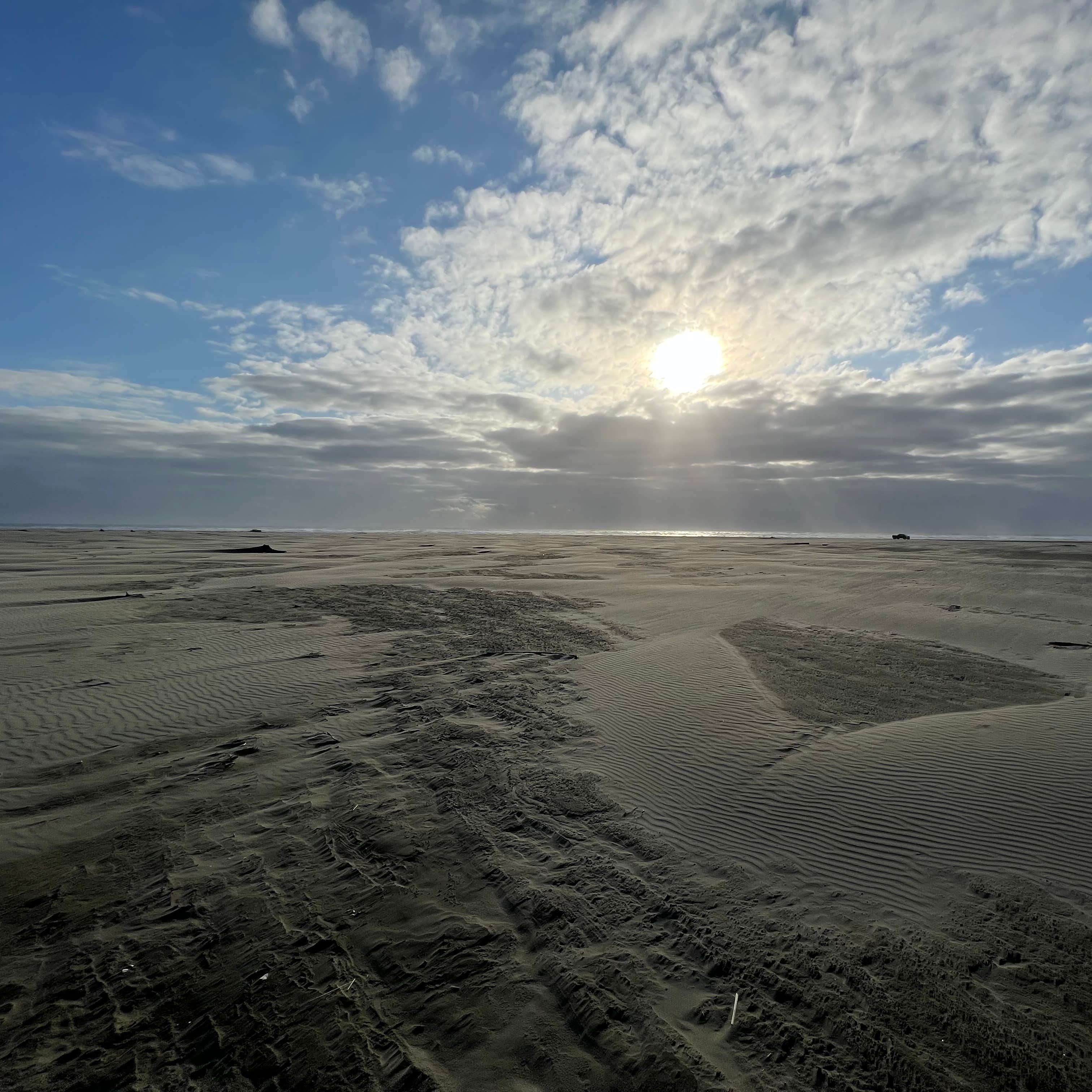 Grayland Beach State Park Campground | Westport, Washington