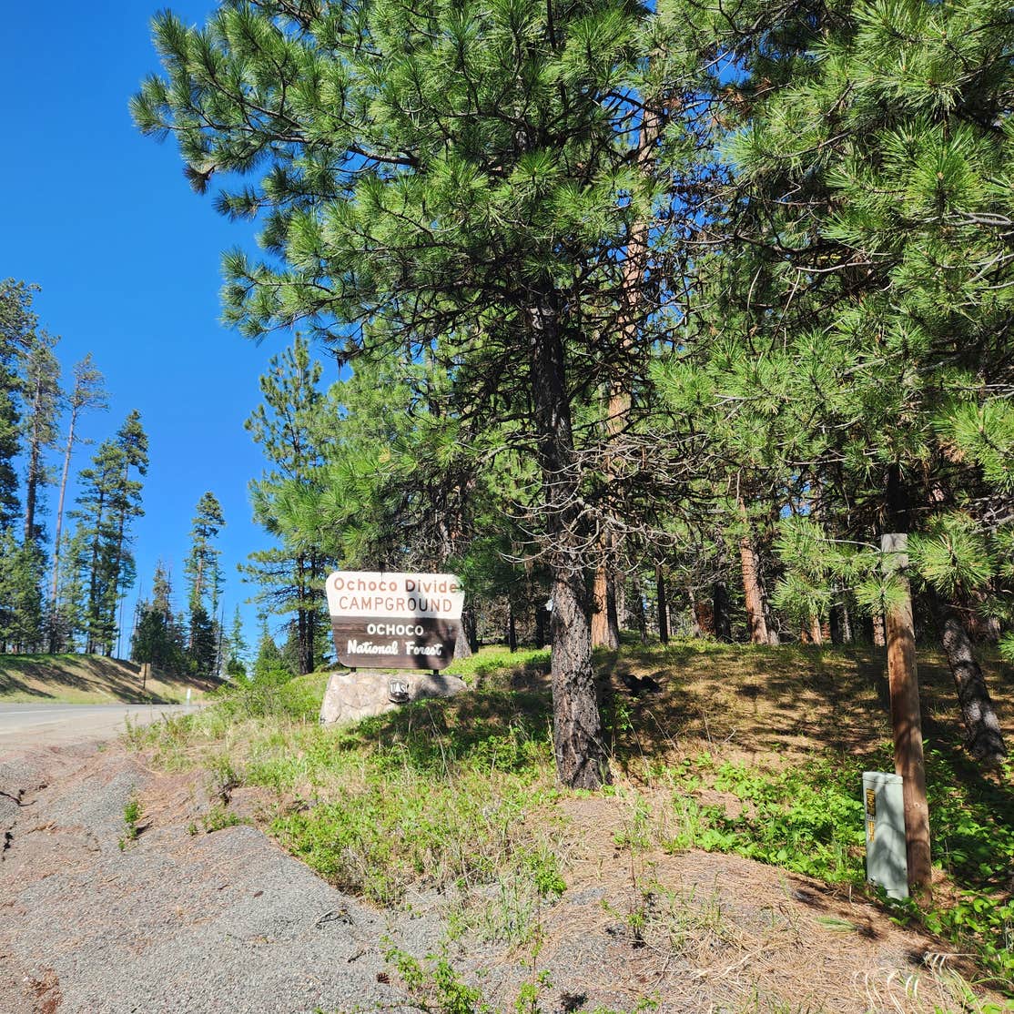 Ochoco Divide Group Site Camping | Prineville, OR