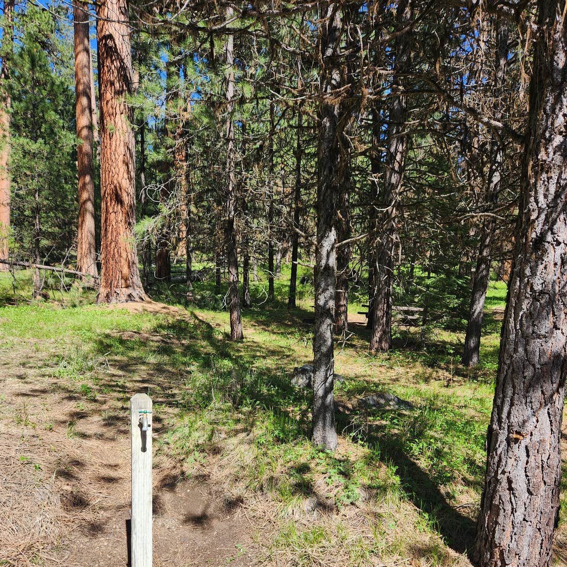 Ochoco Divide Group Site Camping | Prineville, OR