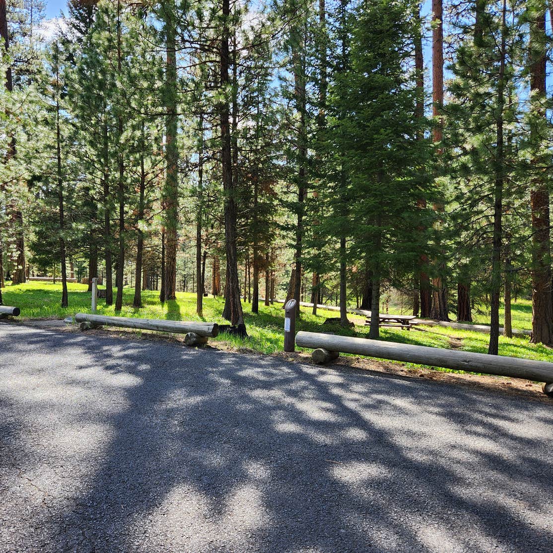 Ochoco Divide Group Site Camping | Mitchell, Oregon