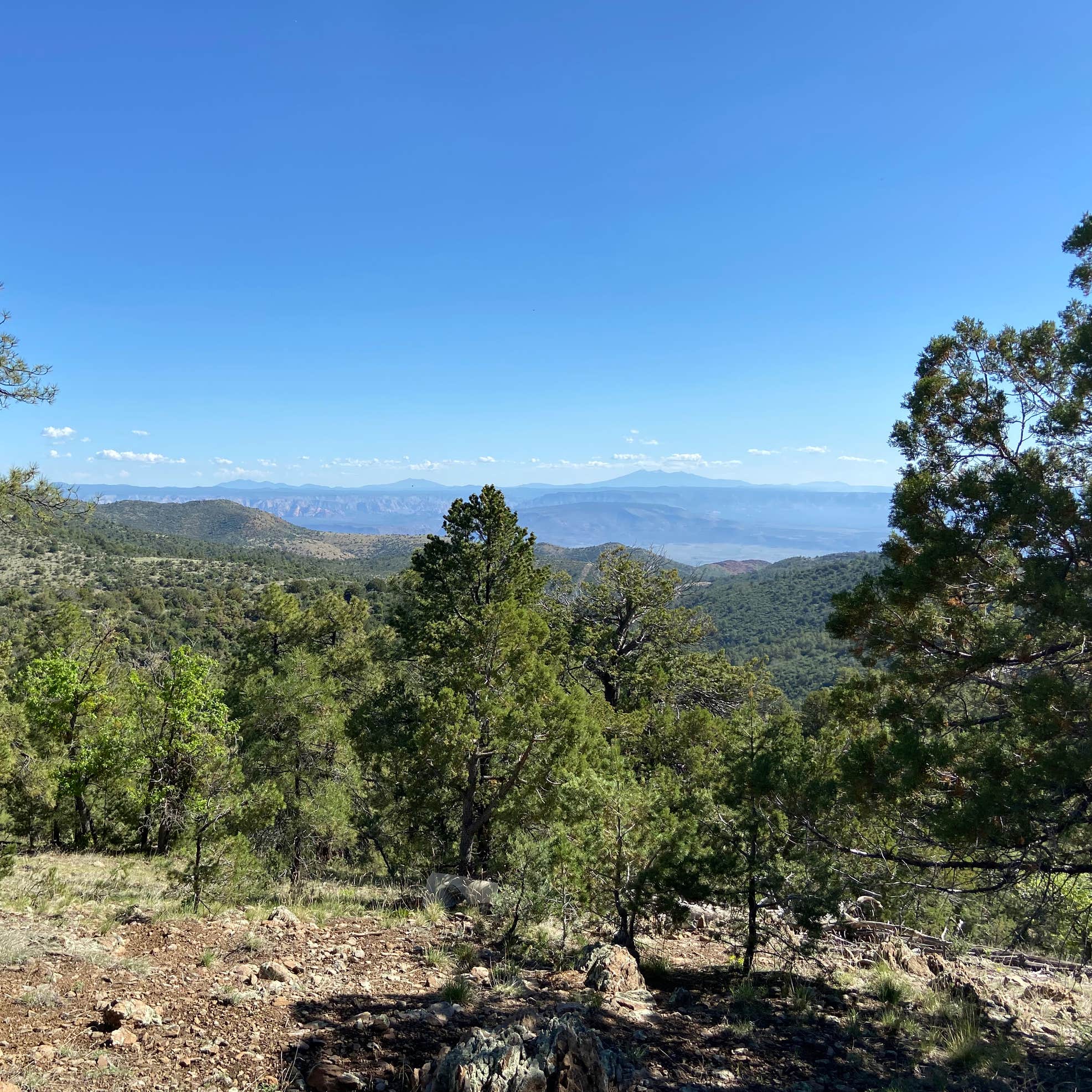 Potato Patch Campground | Jerome, Arizona