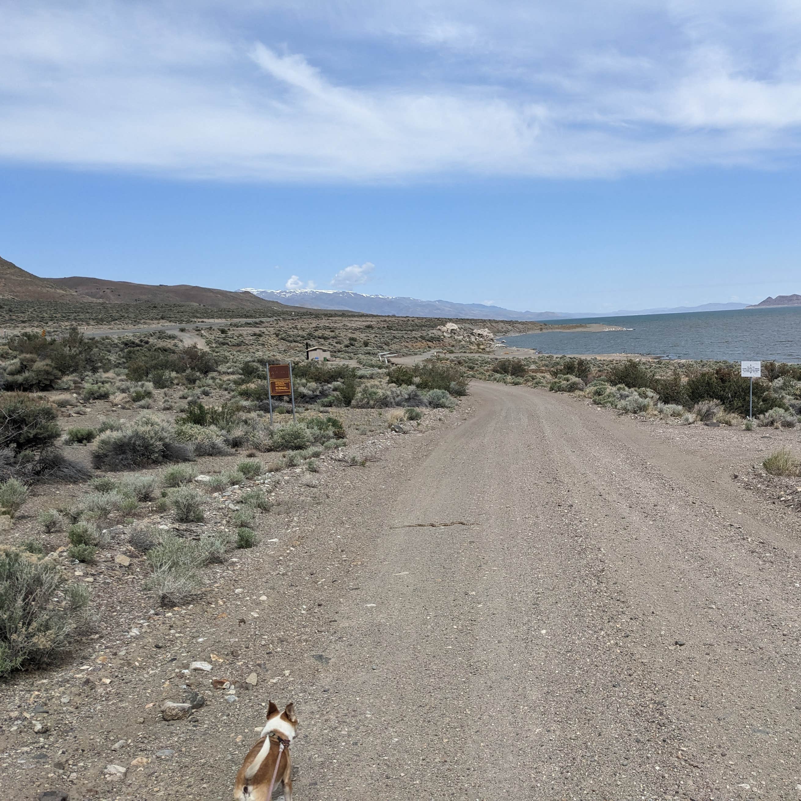 Popcorn Rock Beach / Pyramid Lake Camping | The Dyrt