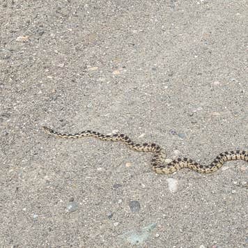 Popcorn Rock Beach / Pyramid Lake Camping | Nixon, Nevada