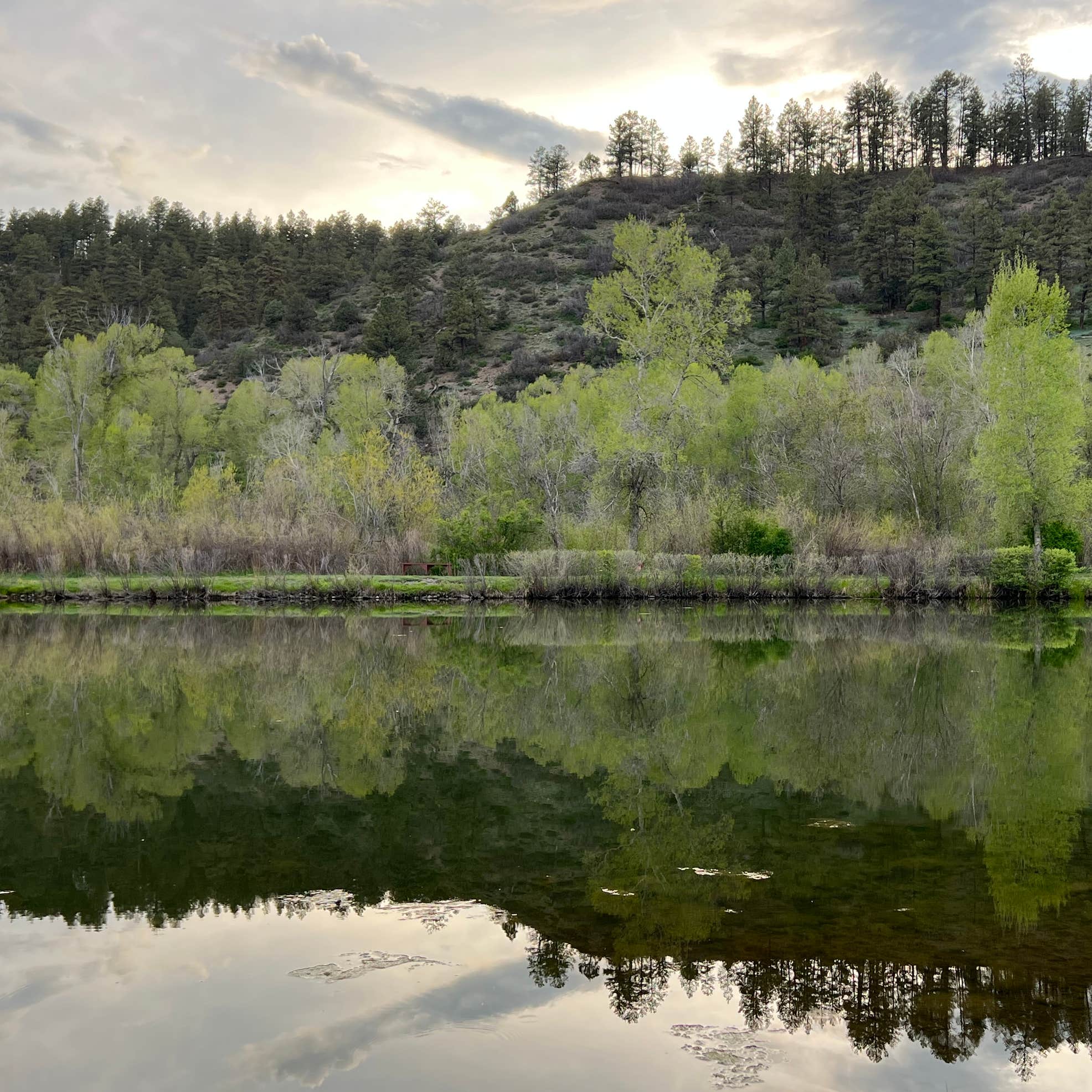 Pagosa Riverside Campground | Pagosa Springs, Colorado