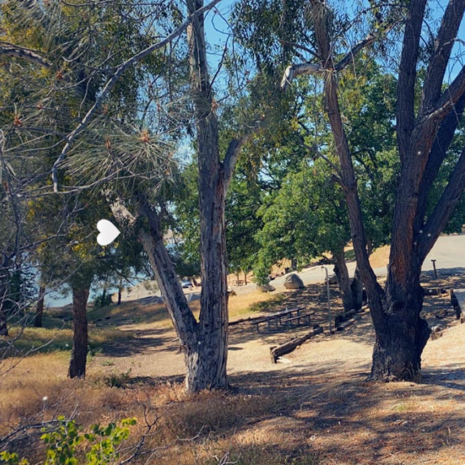 Hidden View Campground — Hensley Lake | Raymond, California