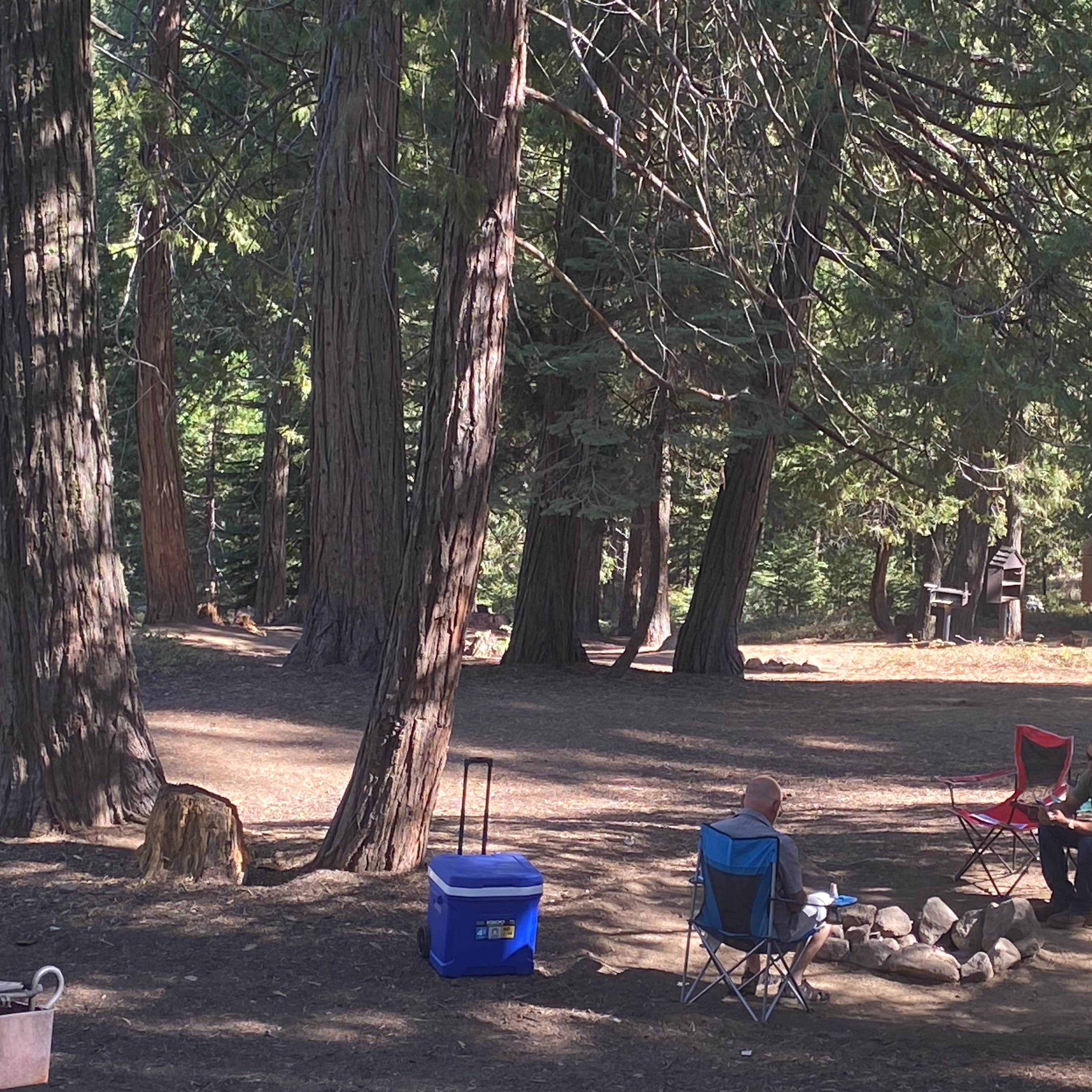Camp Edison | Shaver Lake, CA