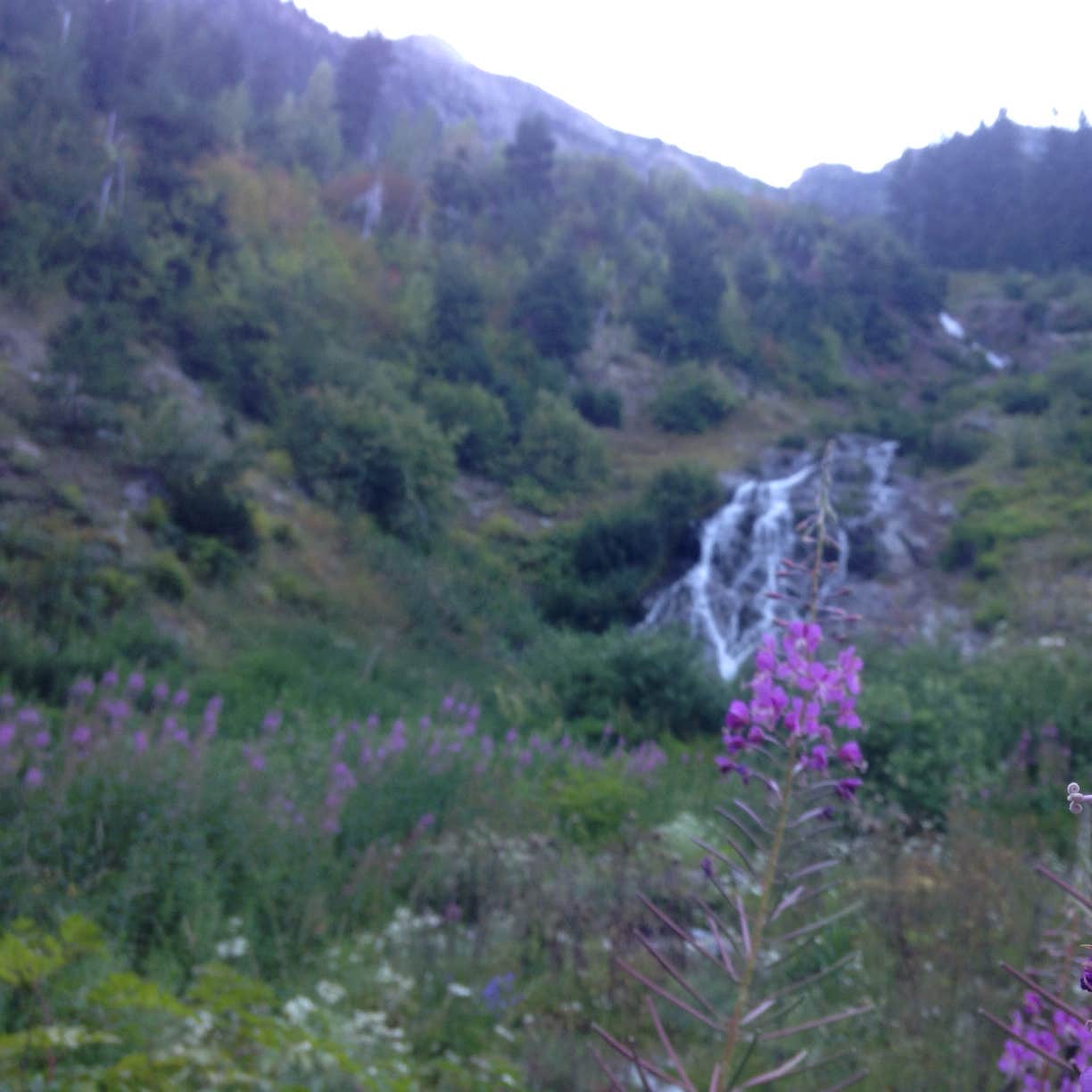 Panther Camp Camping | The Dyrt