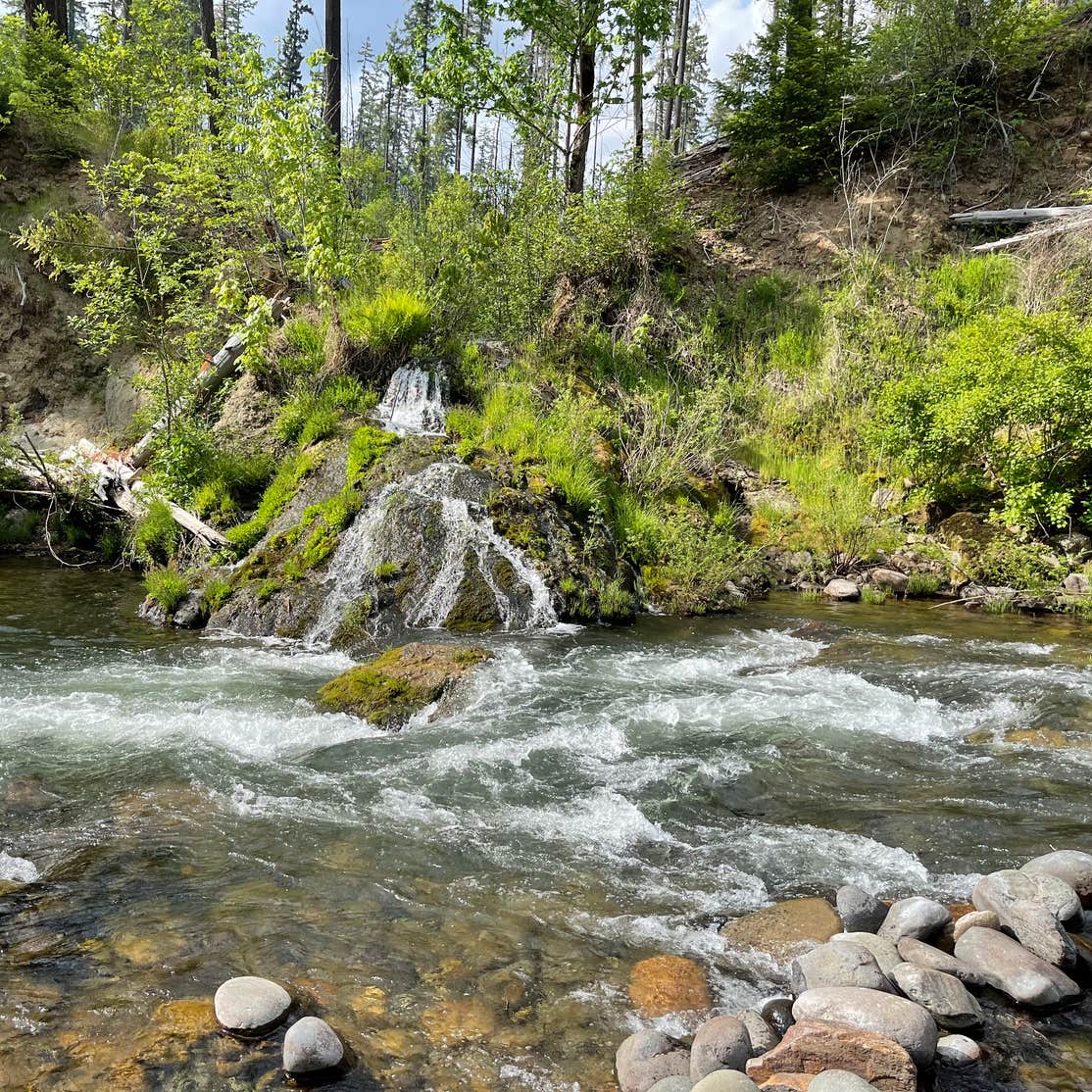 Bedrock Campground Camping | Fall Creek, OR | The Dyrt