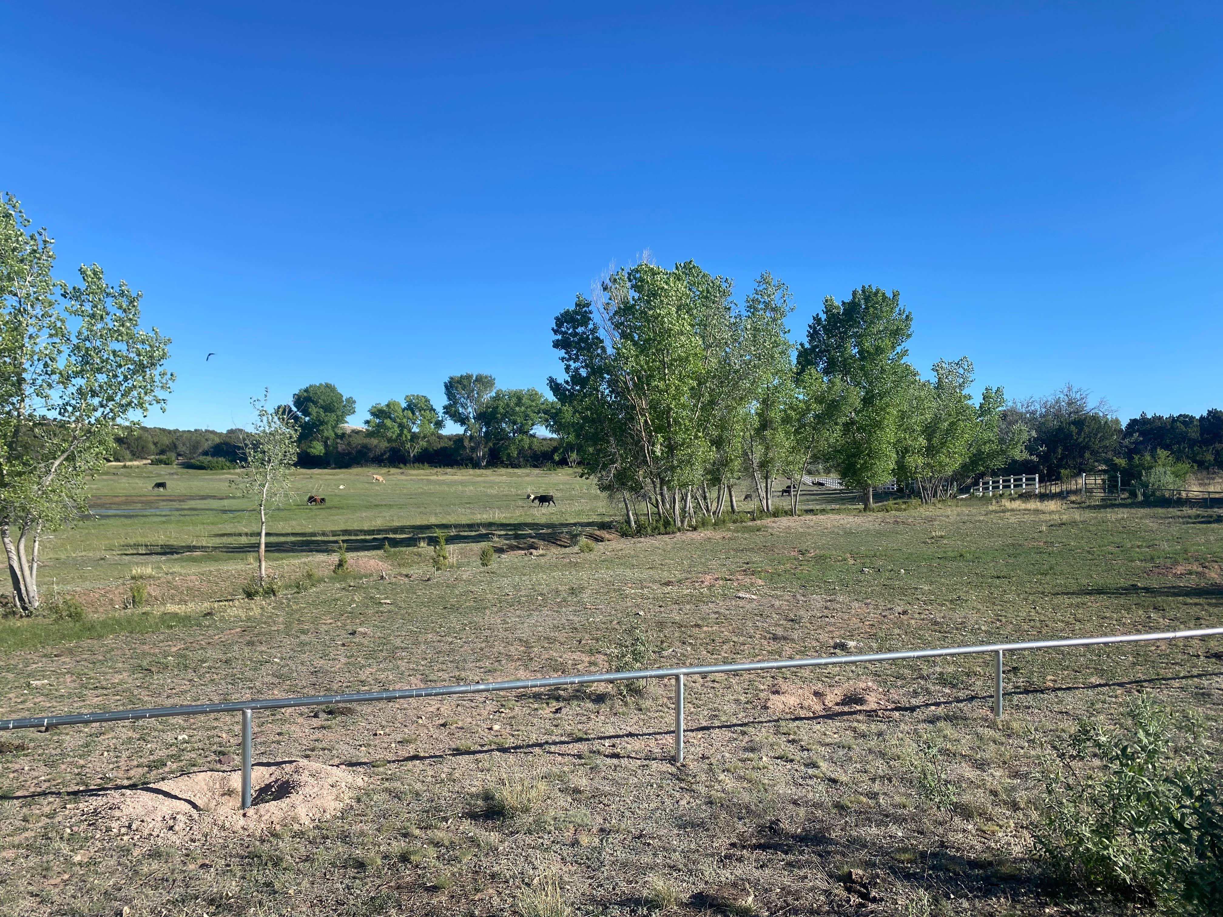 Concho lake Camping | Vernon, AZ