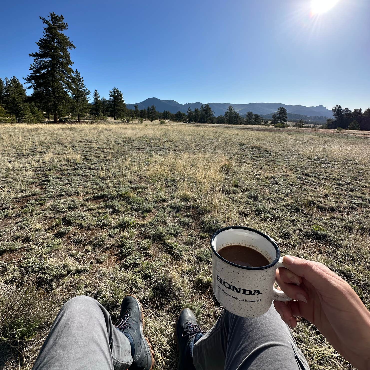 Badger Flats Camping | Lake George, Colorado