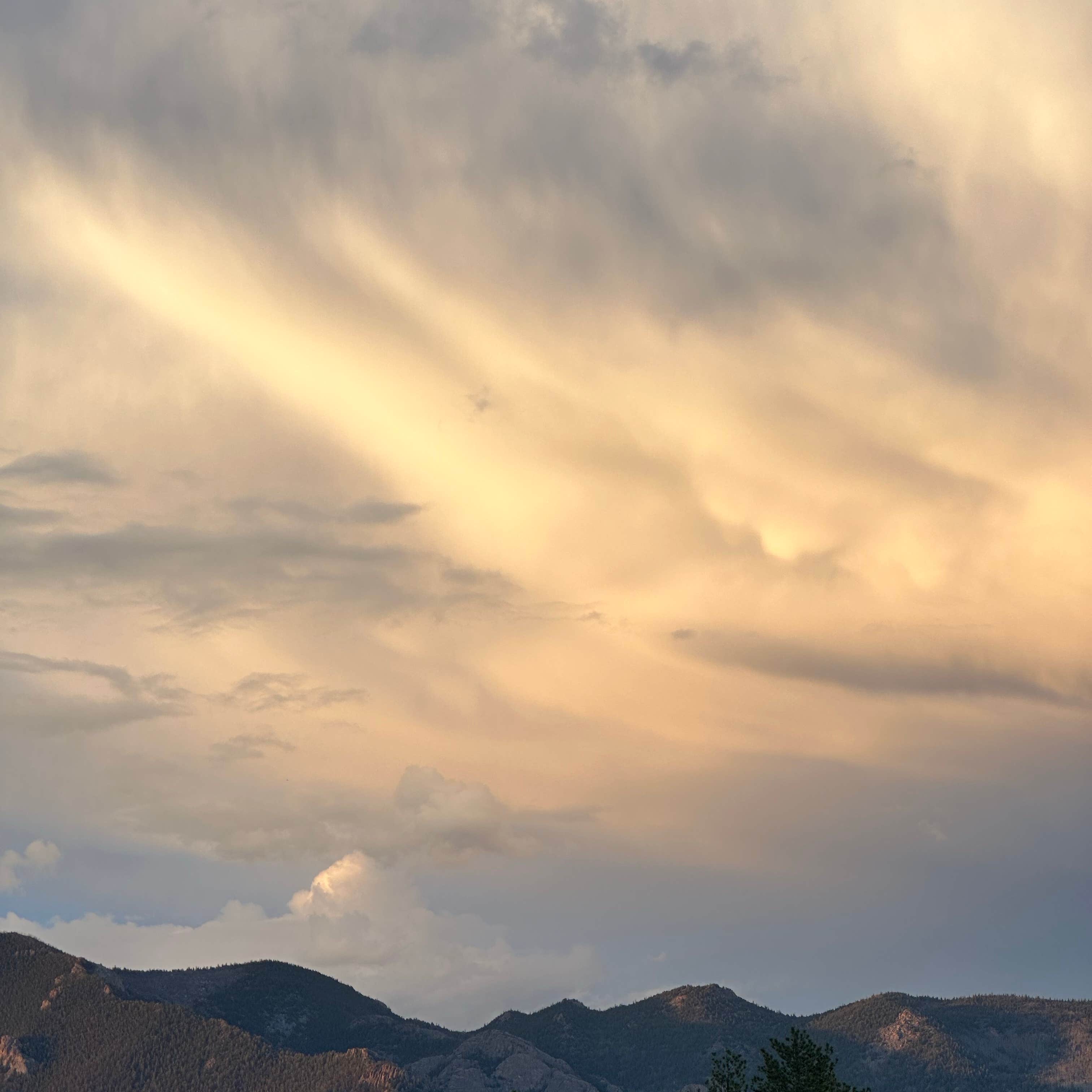 Badger Flats Camping | Lake George, Colorado