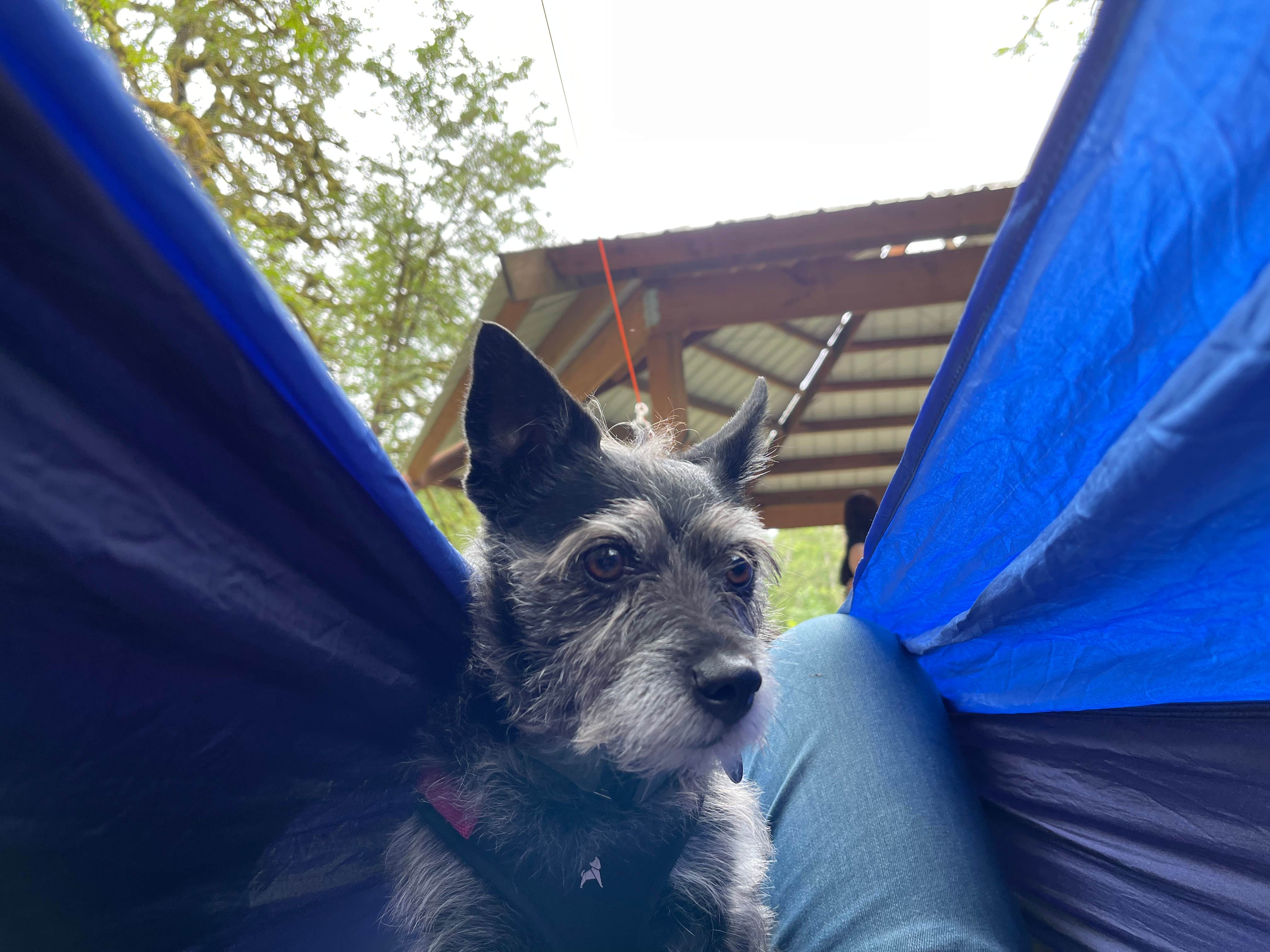 Masonic Family Park Camping | Granite Falls, WA