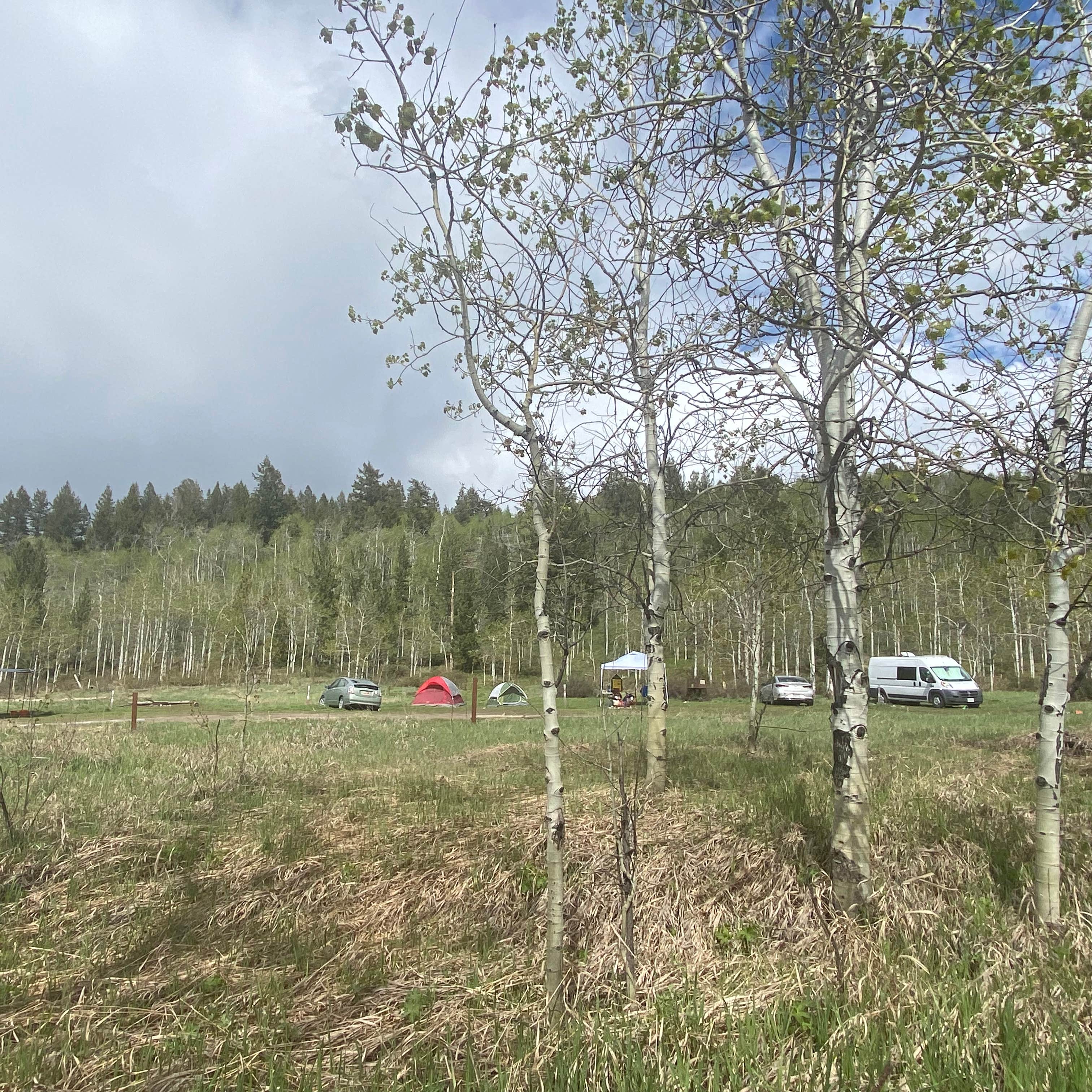 Antelope Springs Designated Dispersed Camping Sites 1-8 Camping | The Dyrt