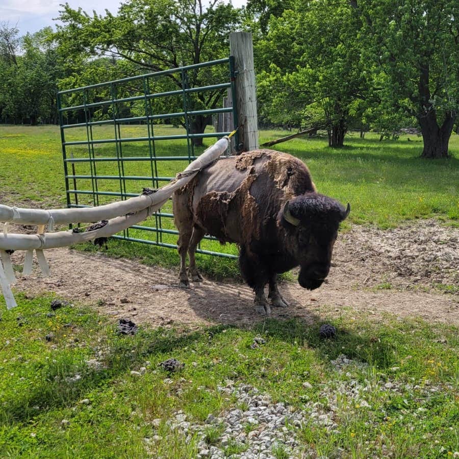 Ouabache State Park Campground | Bluffton, Indiana