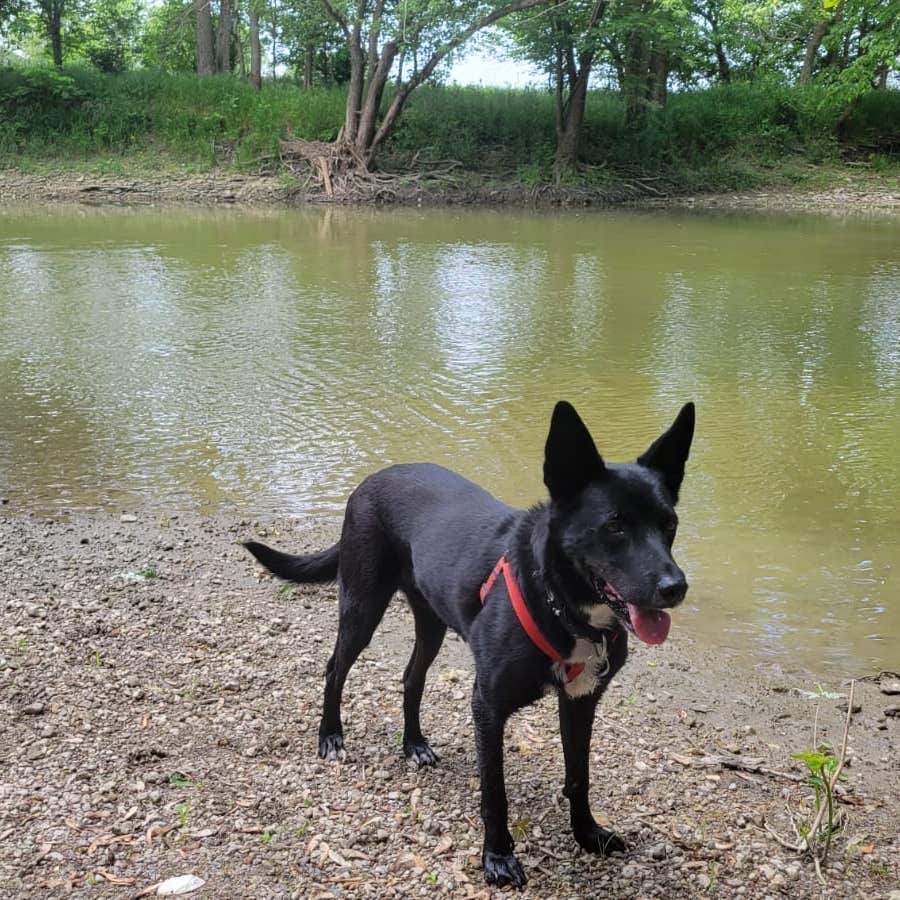 Ouabache State Park Campground | Bluffton, Indiana