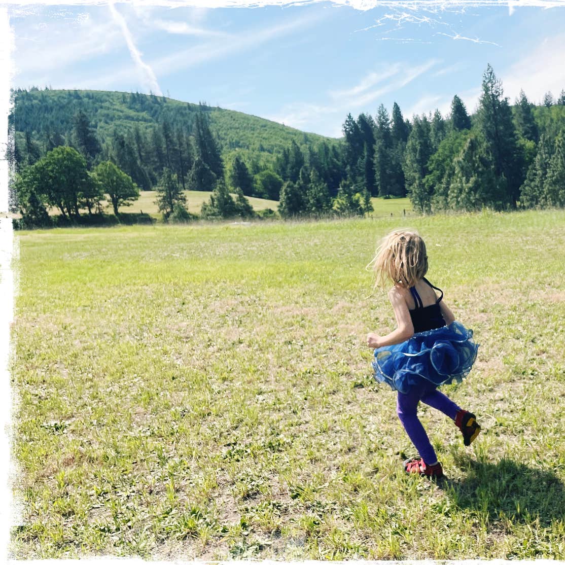 Roots Rise Family Farm Camping | Lyle, Washington