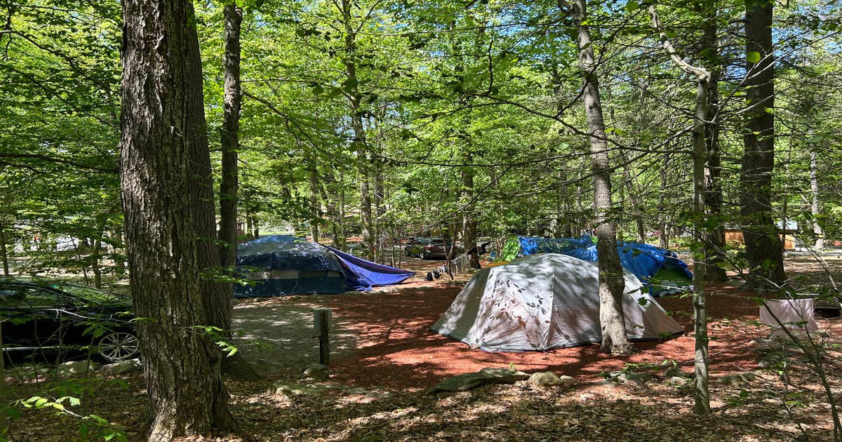 Hemlock Campground & Cottages | Tobyhanna, PA