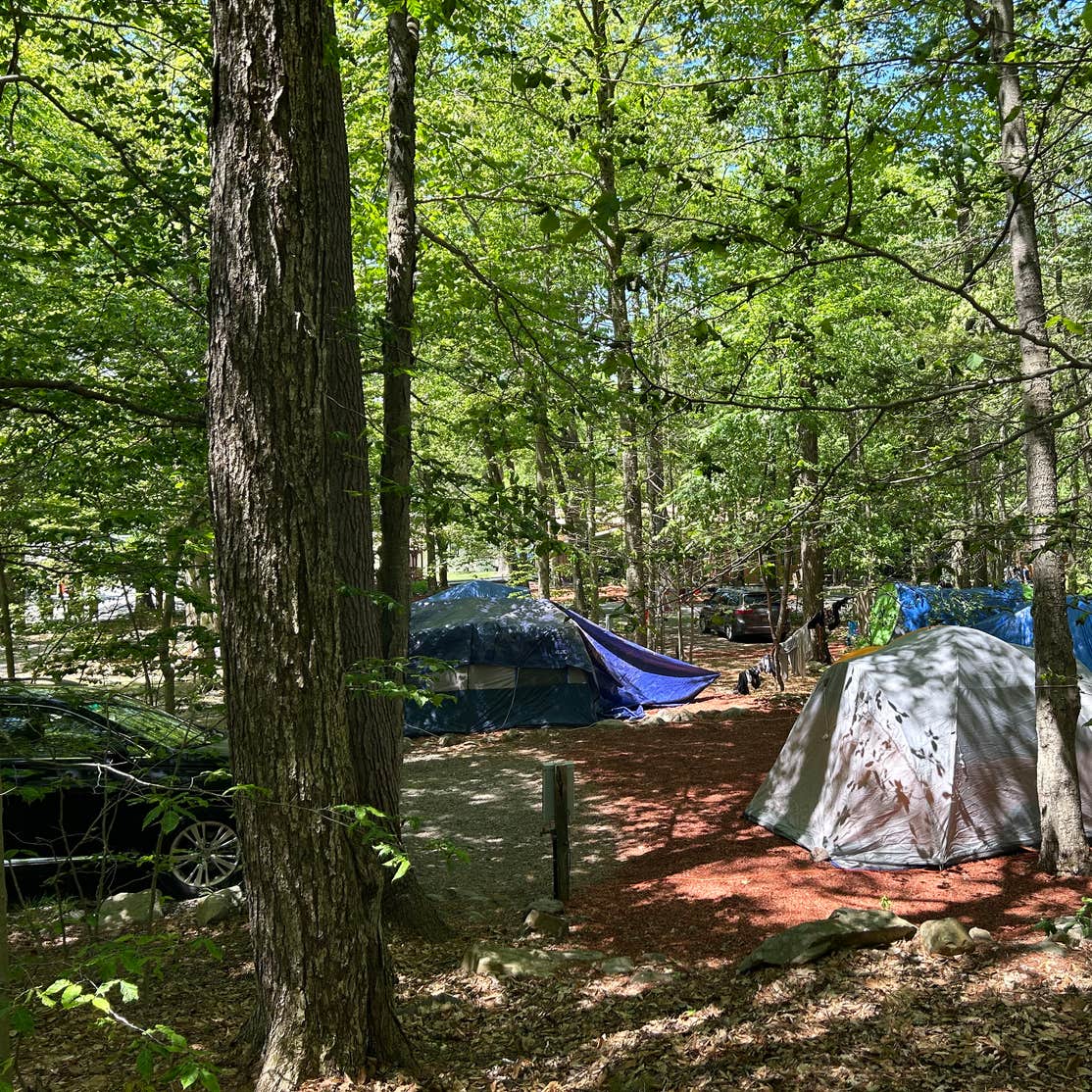 Hemlock Campground & Cottages | Mount Pocono, Pennsylvania