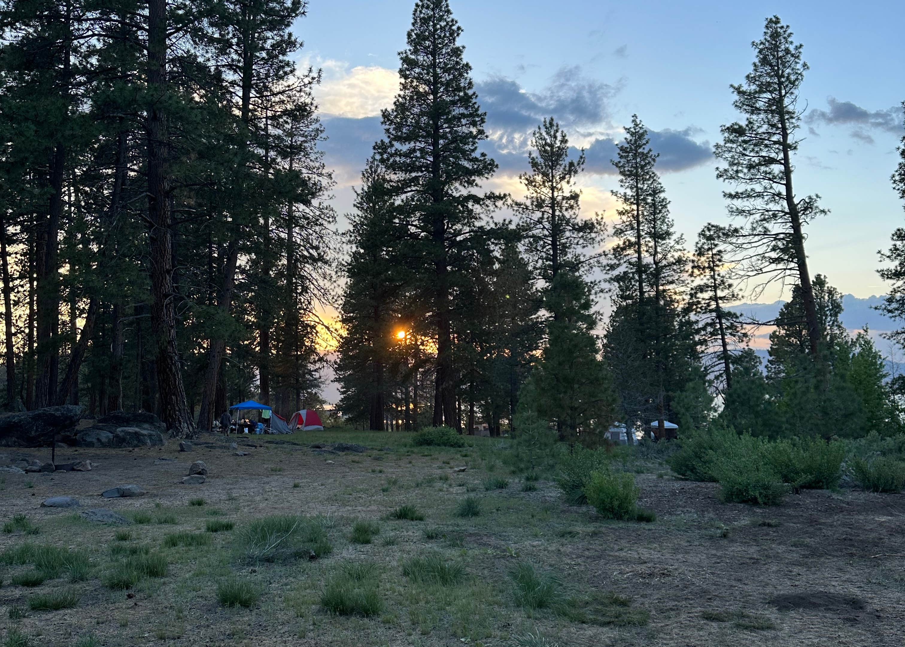 Aspen Grove Campground (CA) Camping | The Dyrt