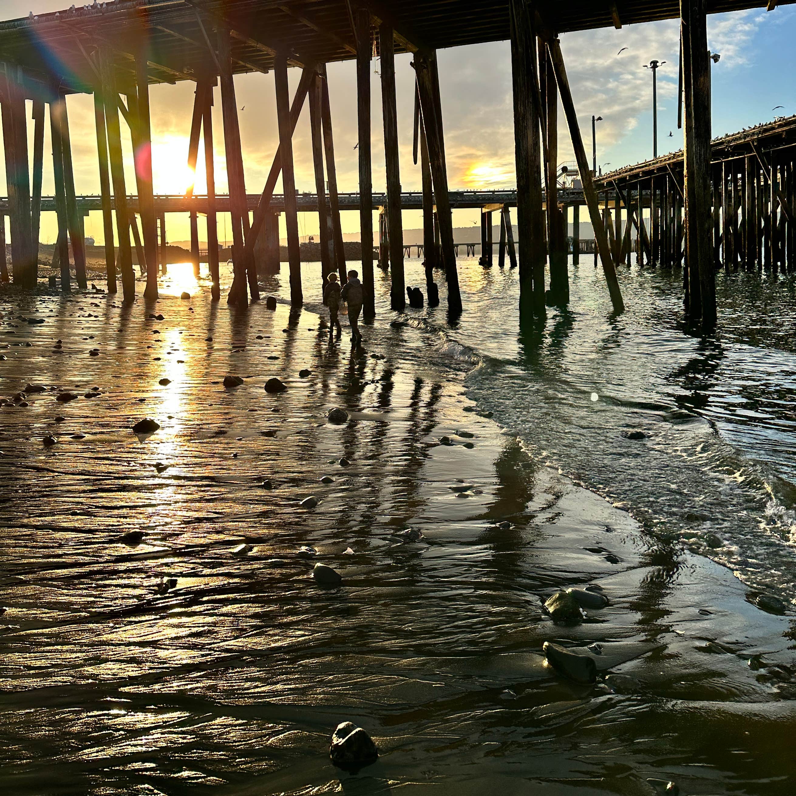 Homer Spit Campground | Homer, Alaska