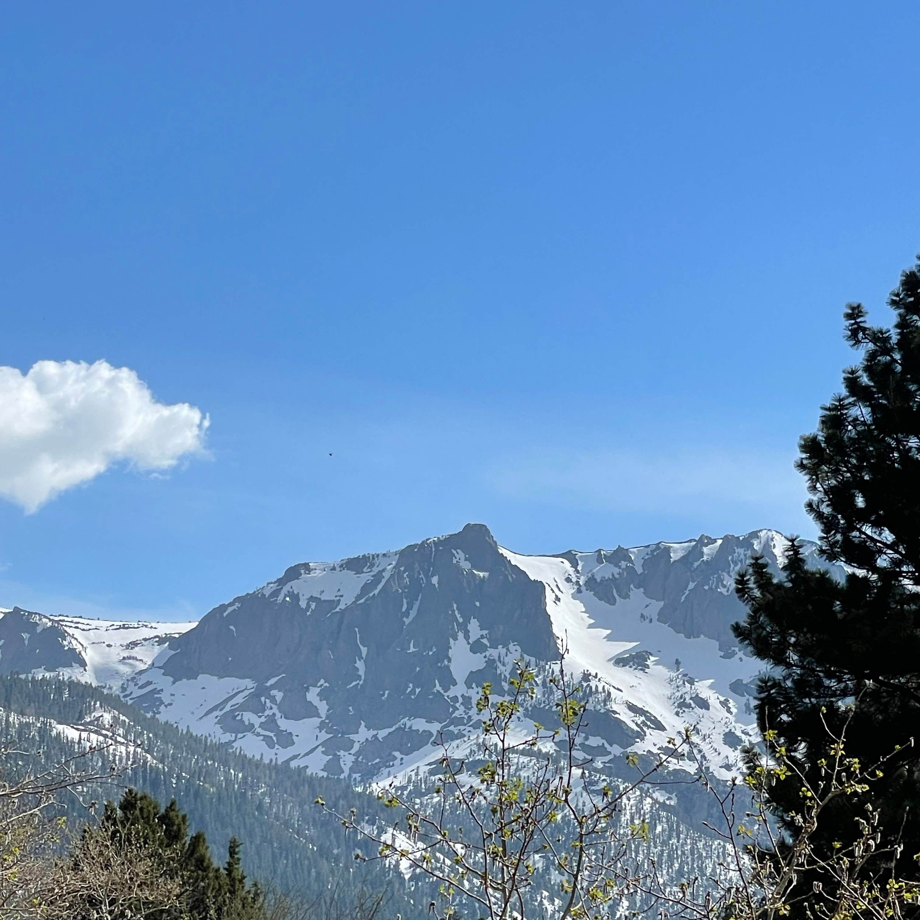 June Lake Campground | June Lake, CA