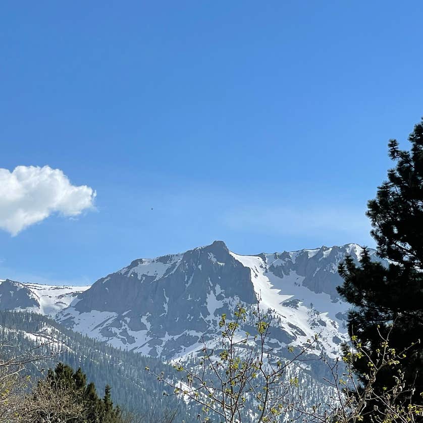 June Lake Campground | June Lake, CA