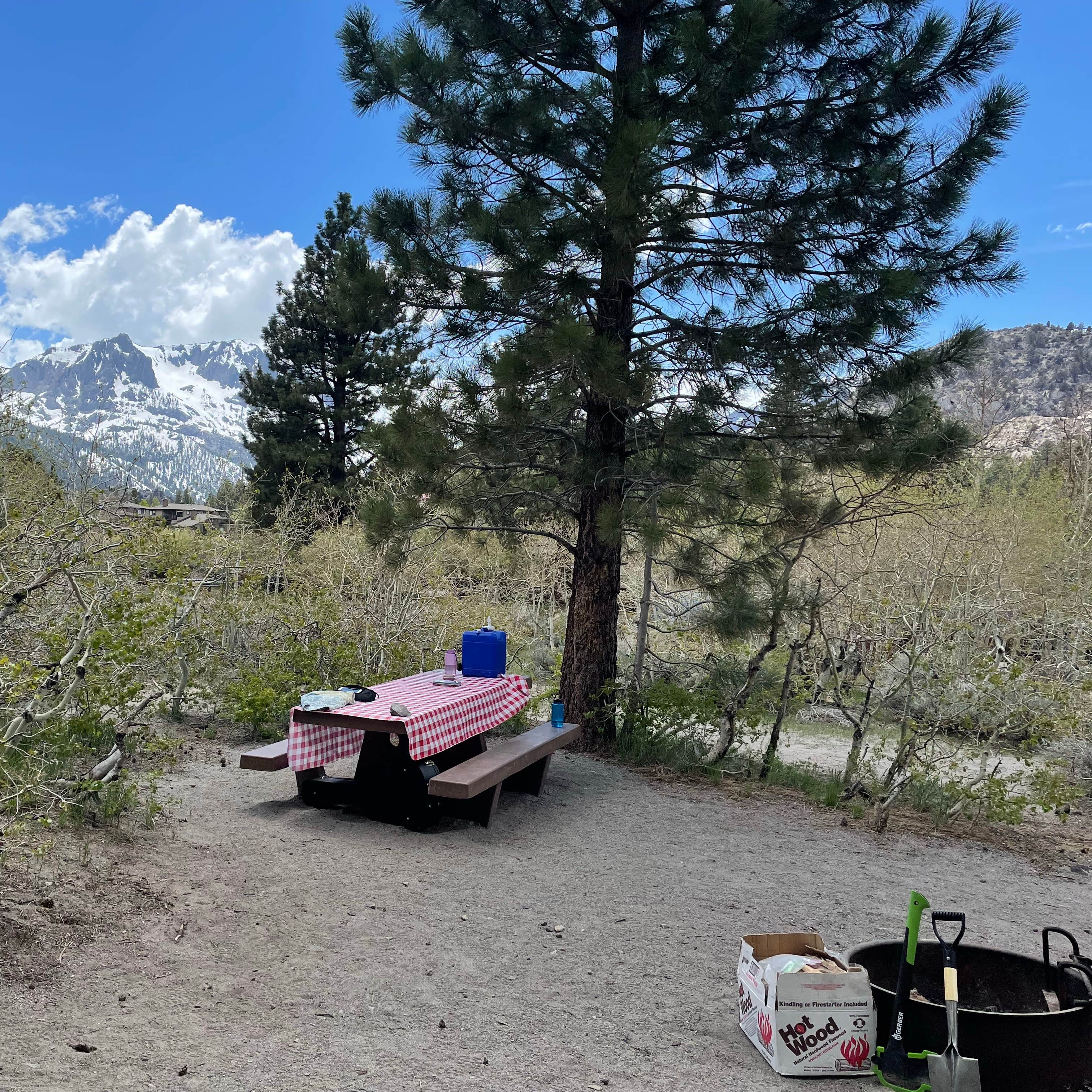 June Lake Campground | June Lake, CA