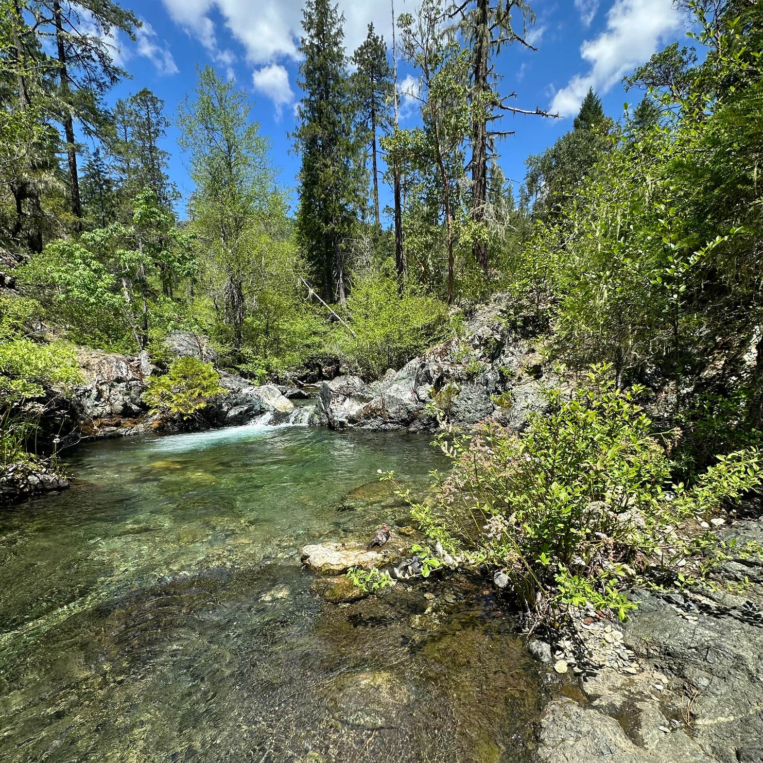 Josephine Campground | Kerby, Oregon