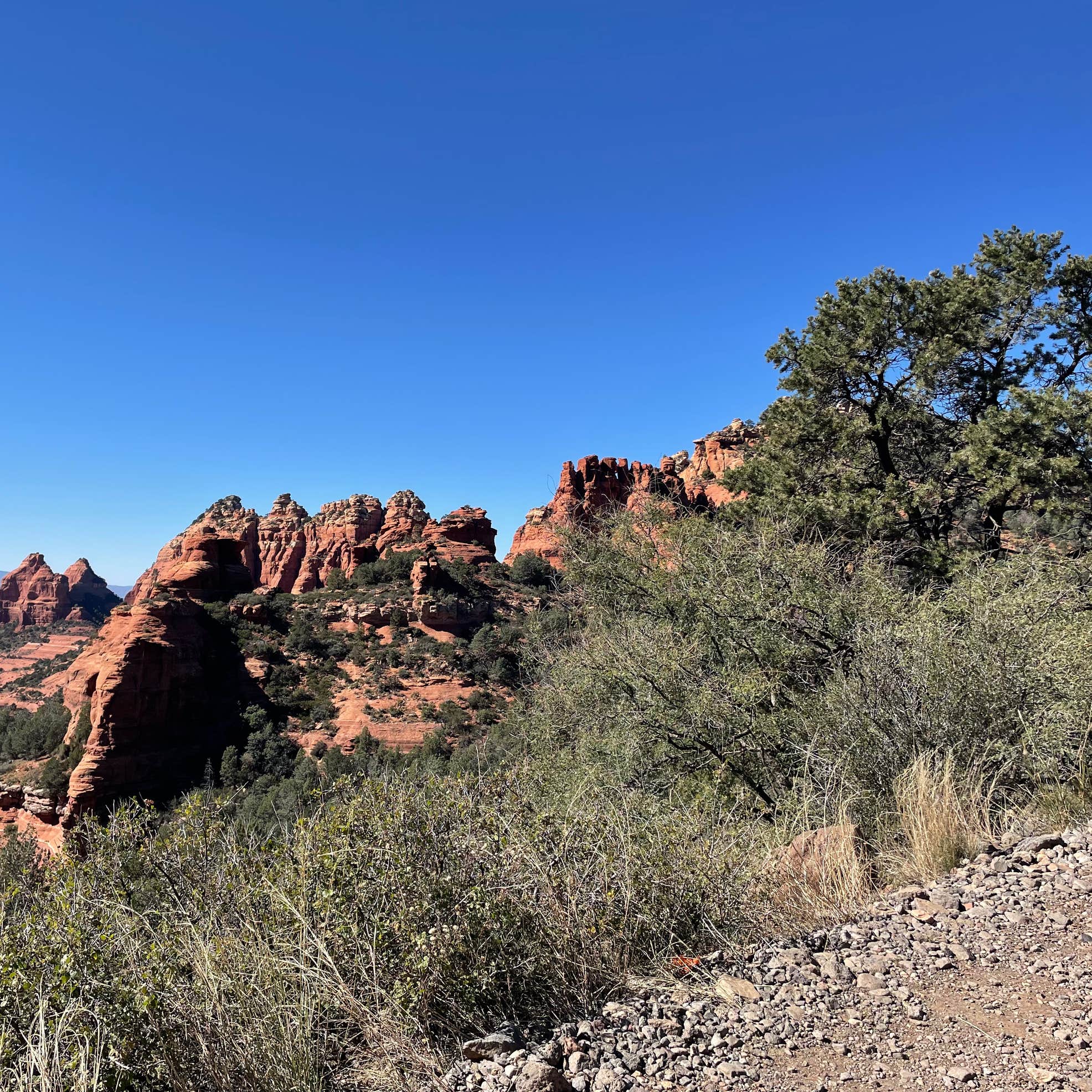 Schnebly Hill Road Camping | The Dyrt