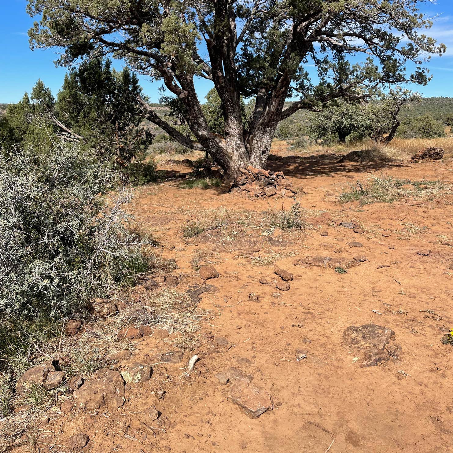 Schnebly Hill Road Camping | Munds Park, AZ