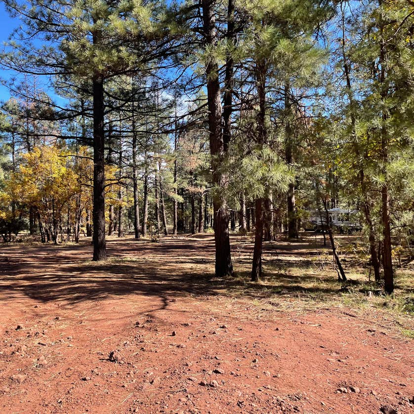 Schnebly Hill Road Camping | The Dyrt