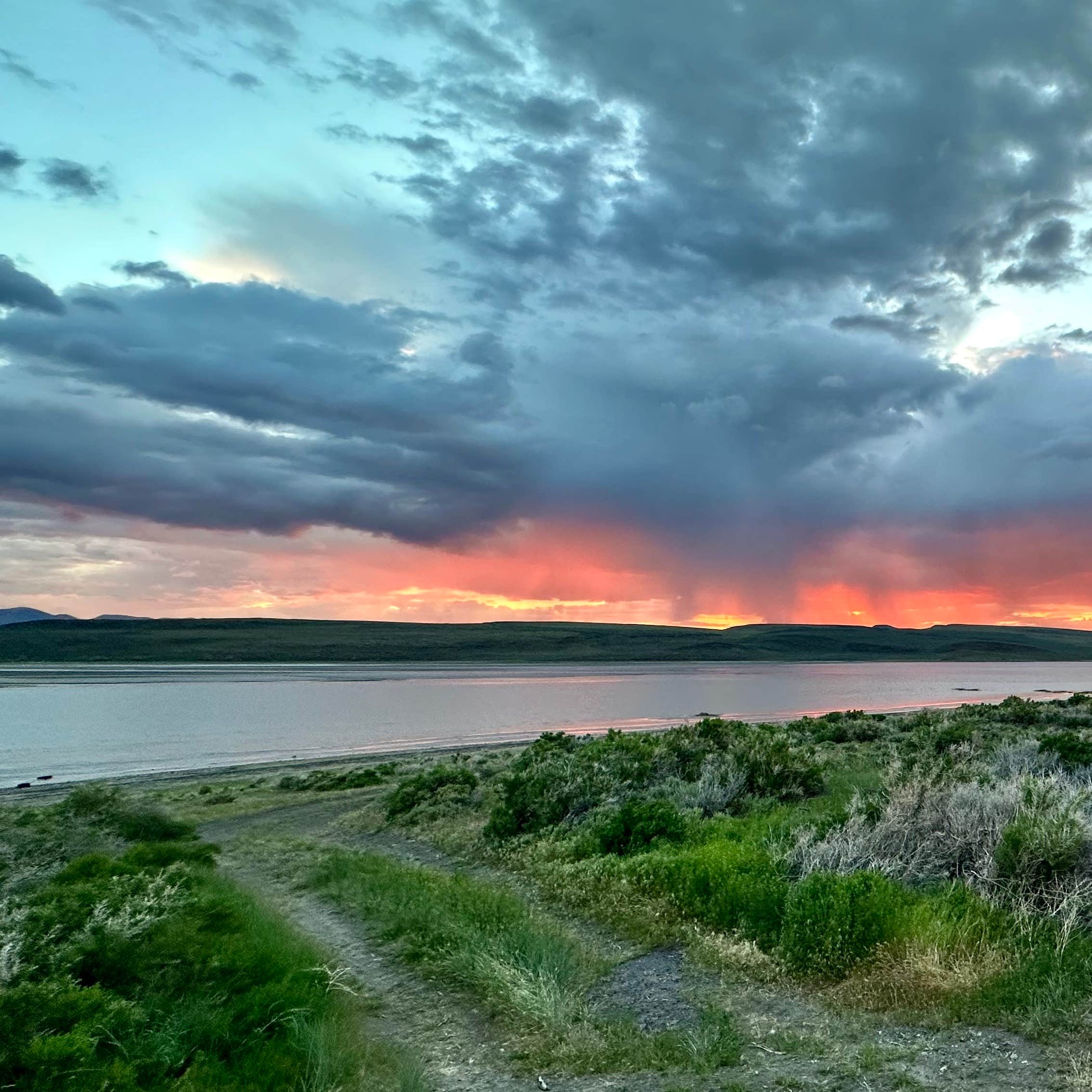 Lake Abert US 395 South Pullout Dispersed Camping Camping | The Dyrt