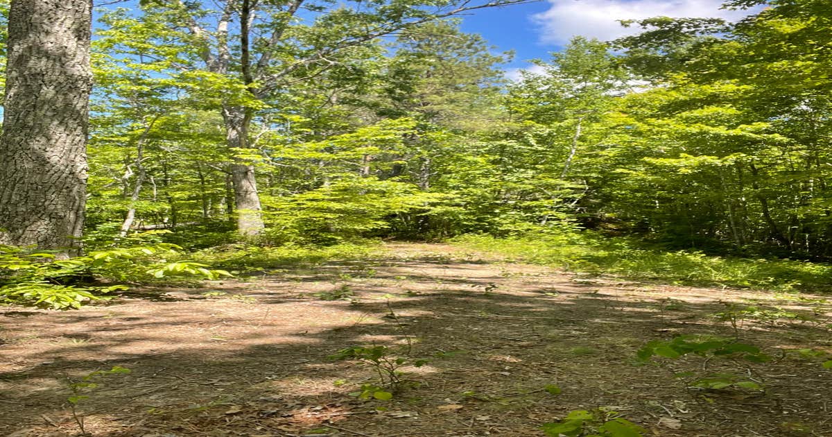 Whitaker Farm Camping | Beattyville, Kentucky