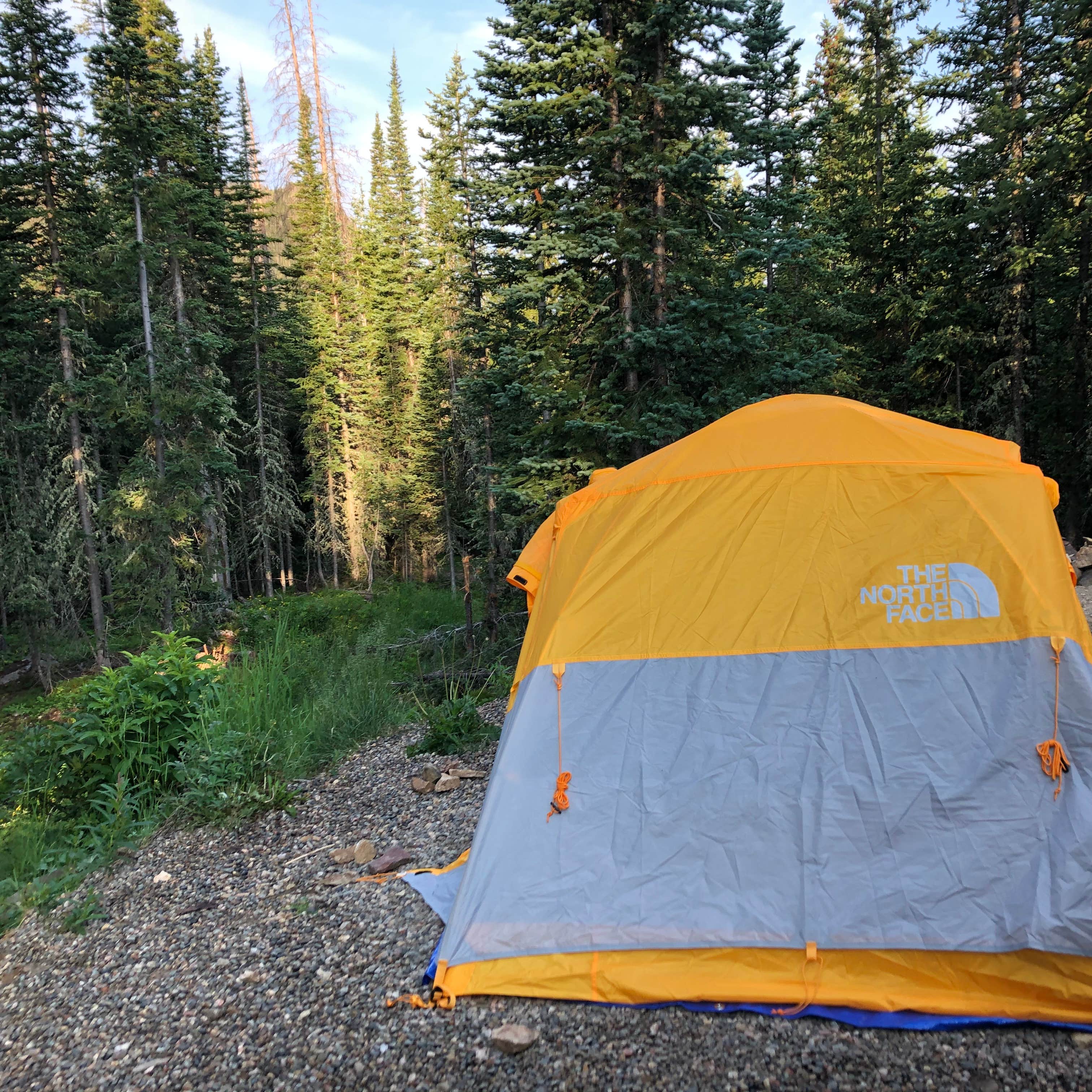 The Crags Campground — State Forest State Park | Rand, Colorado