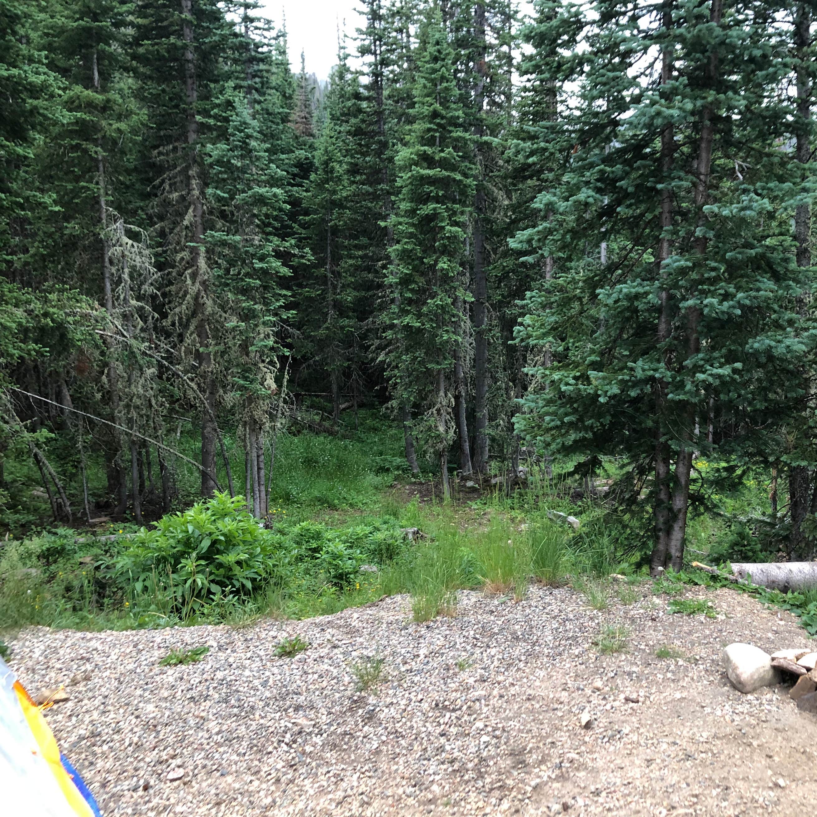 The Crags Campground — State Forest State Park | Rand, Colorado