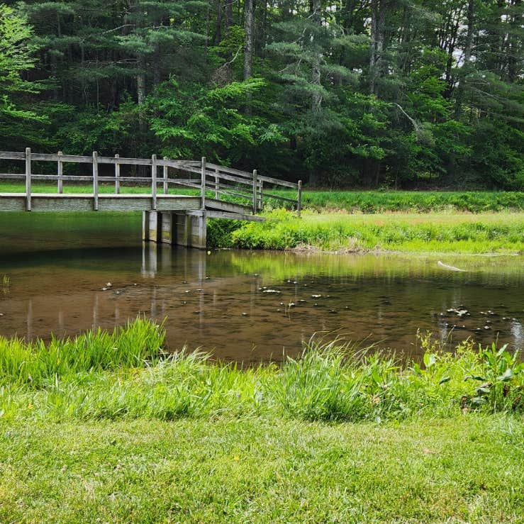 Montebello Resort Camping | Montebello, Virginia