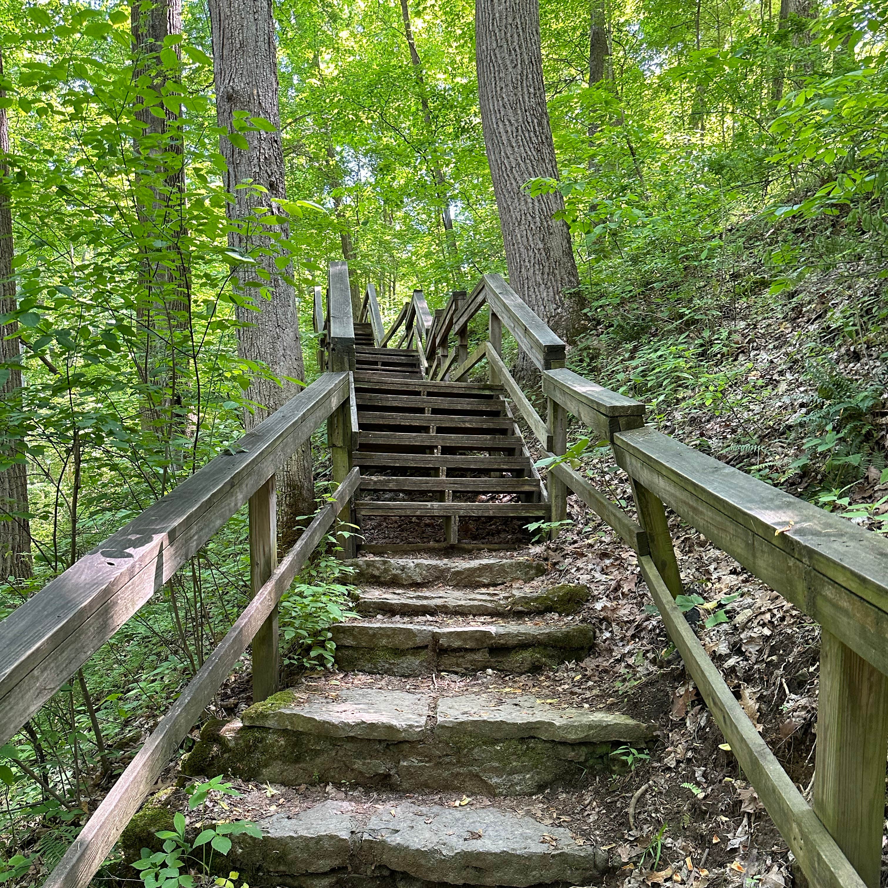 Clifty Falls State Park Campground | Madison, Indiana