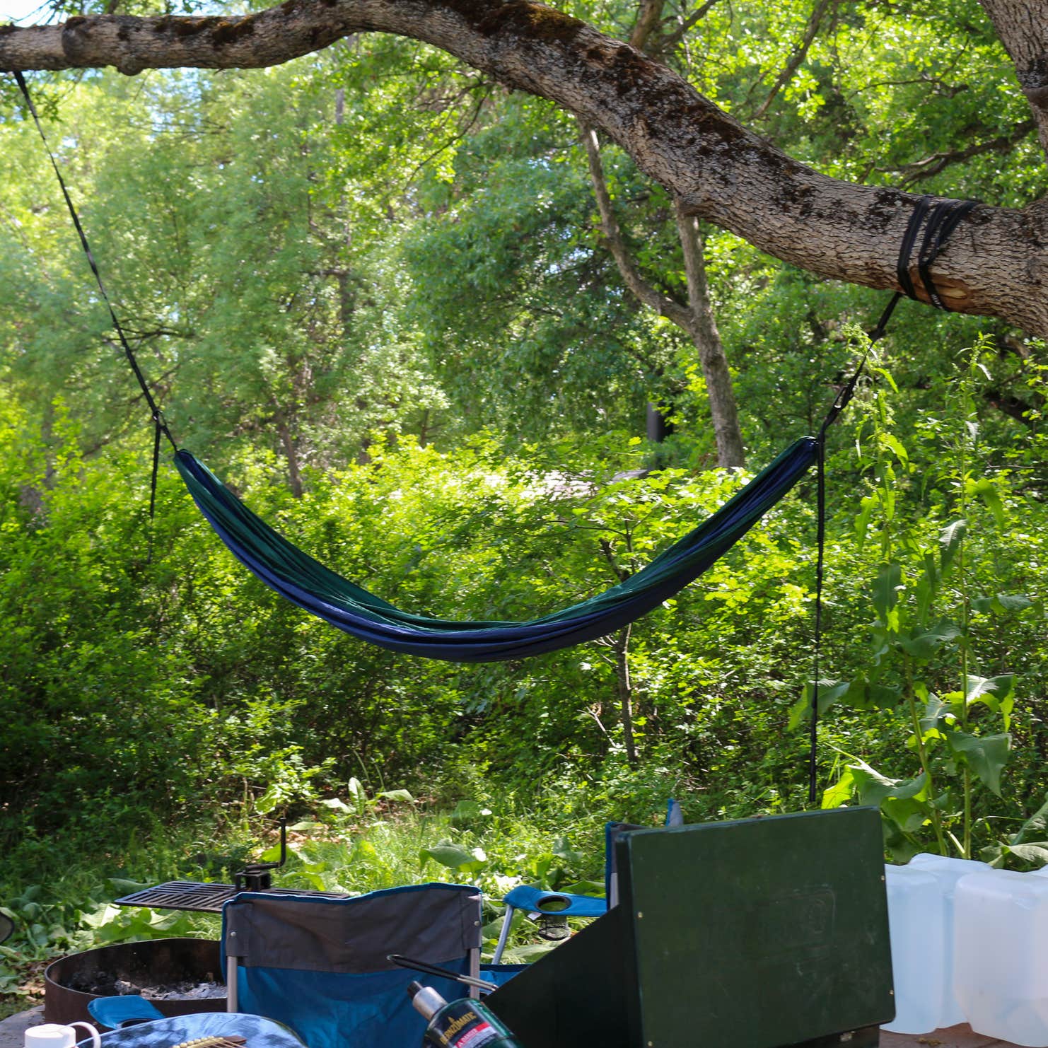 Pit River Campground Camping | The Dyrt